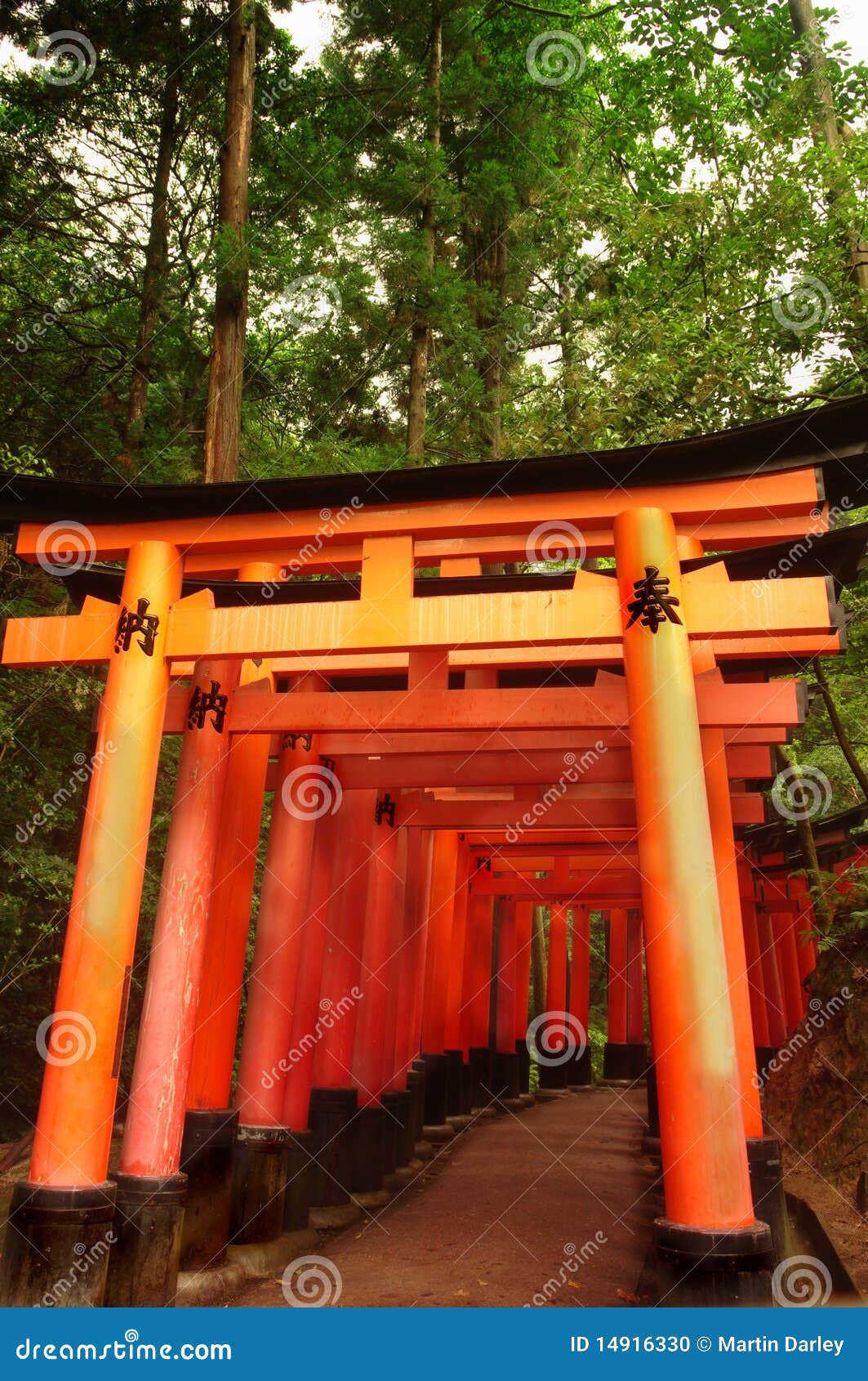 Japanese Torii (Shinto Gates) Stock Photo - Image of japanese ...
