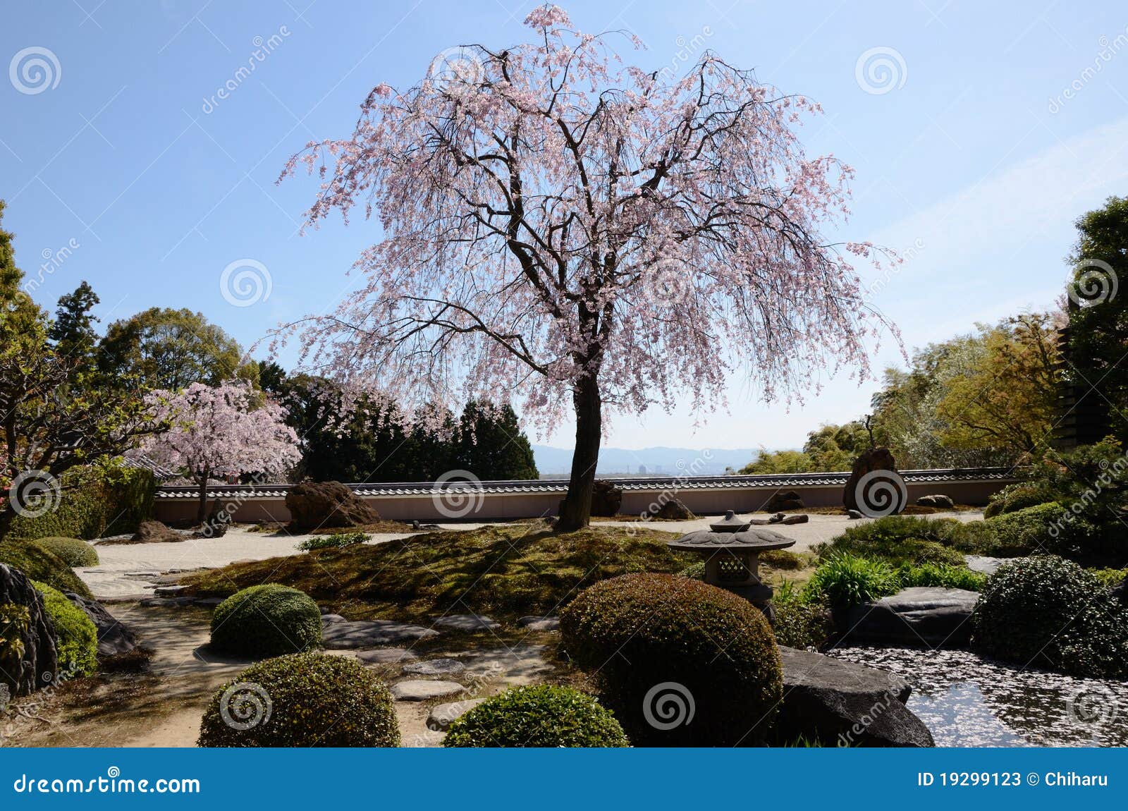 The Japanese Traditional Garden Stock Image - Image of kyoto, bloomy ...