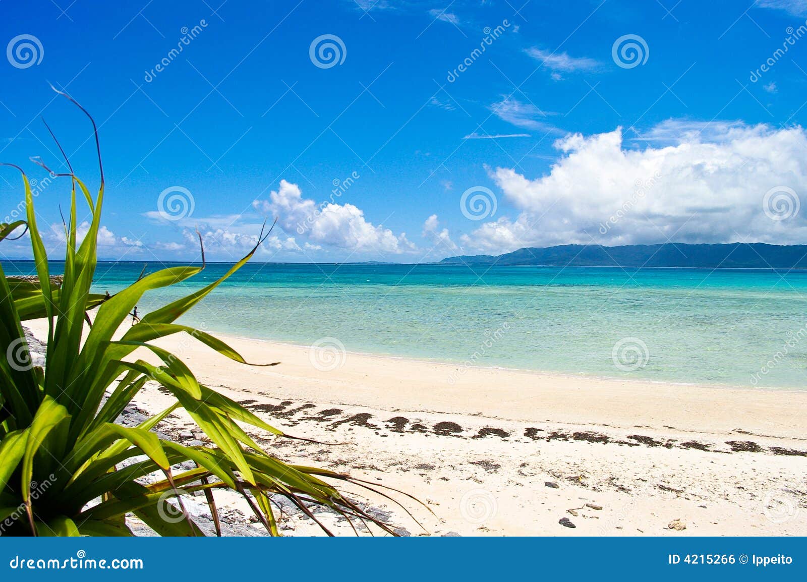 Japanese tropical island stock photo. Image of pacific - 4215266