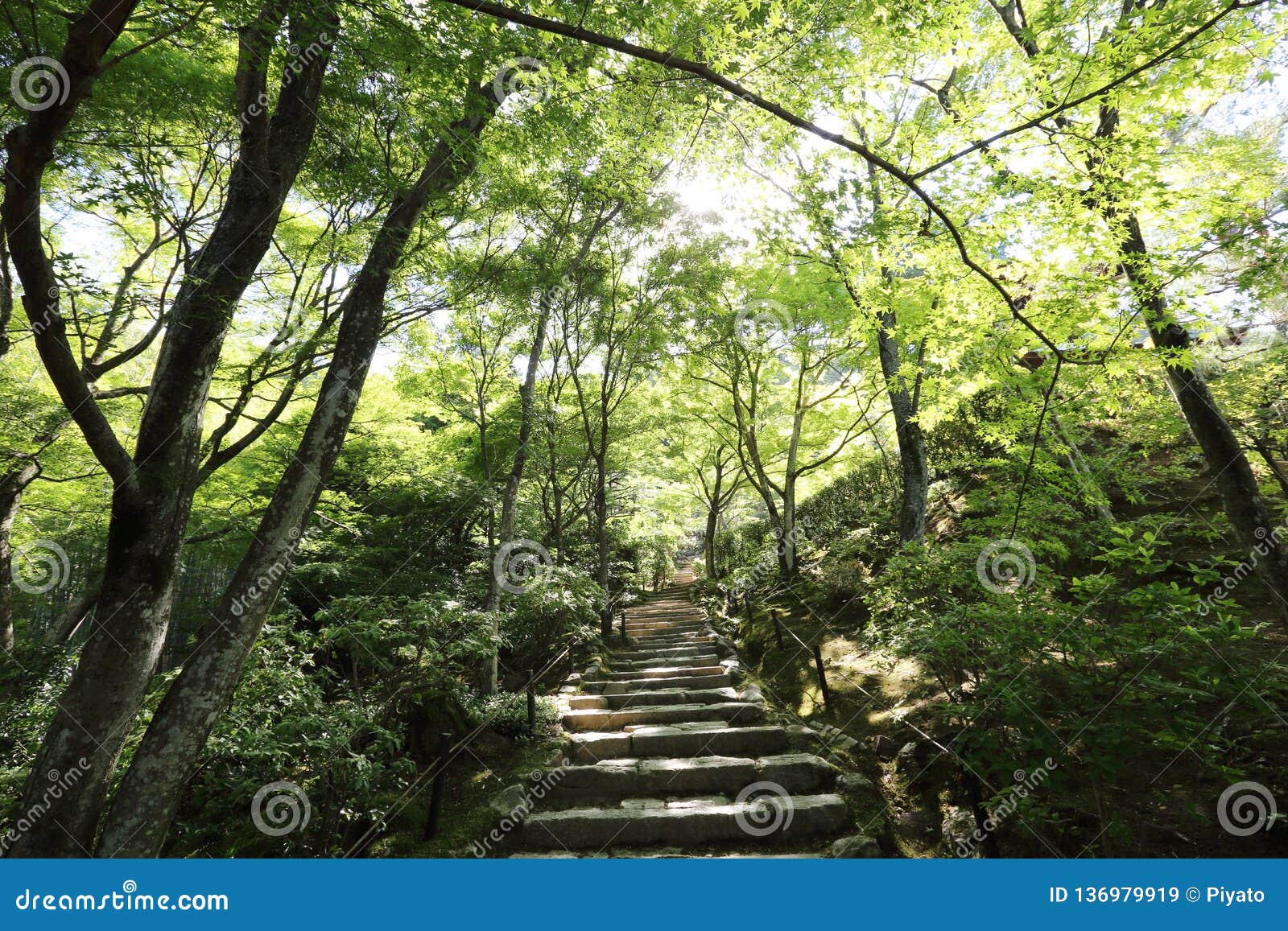 Japanese Walkway in Green Garden Trees Stock Image - Image of japan ...