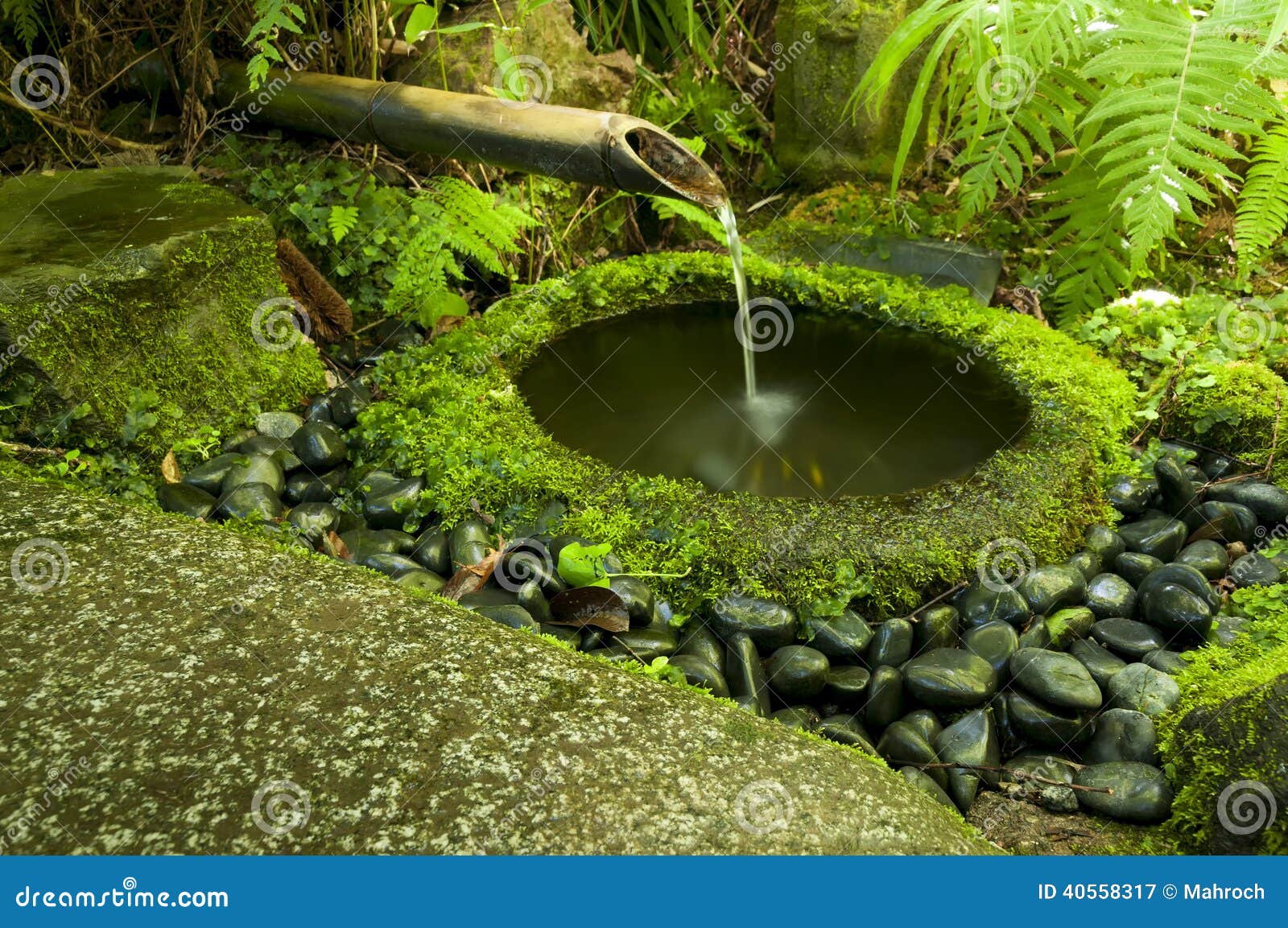 Japanese Water Dipper With Natural Mineral Water - Senboku, Akita ...