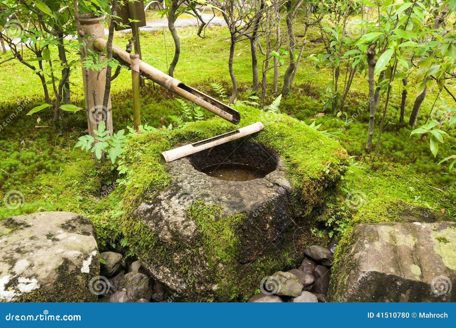 Japanese Water Dipper With Natural Mineral Water - Senboku, Akita ...