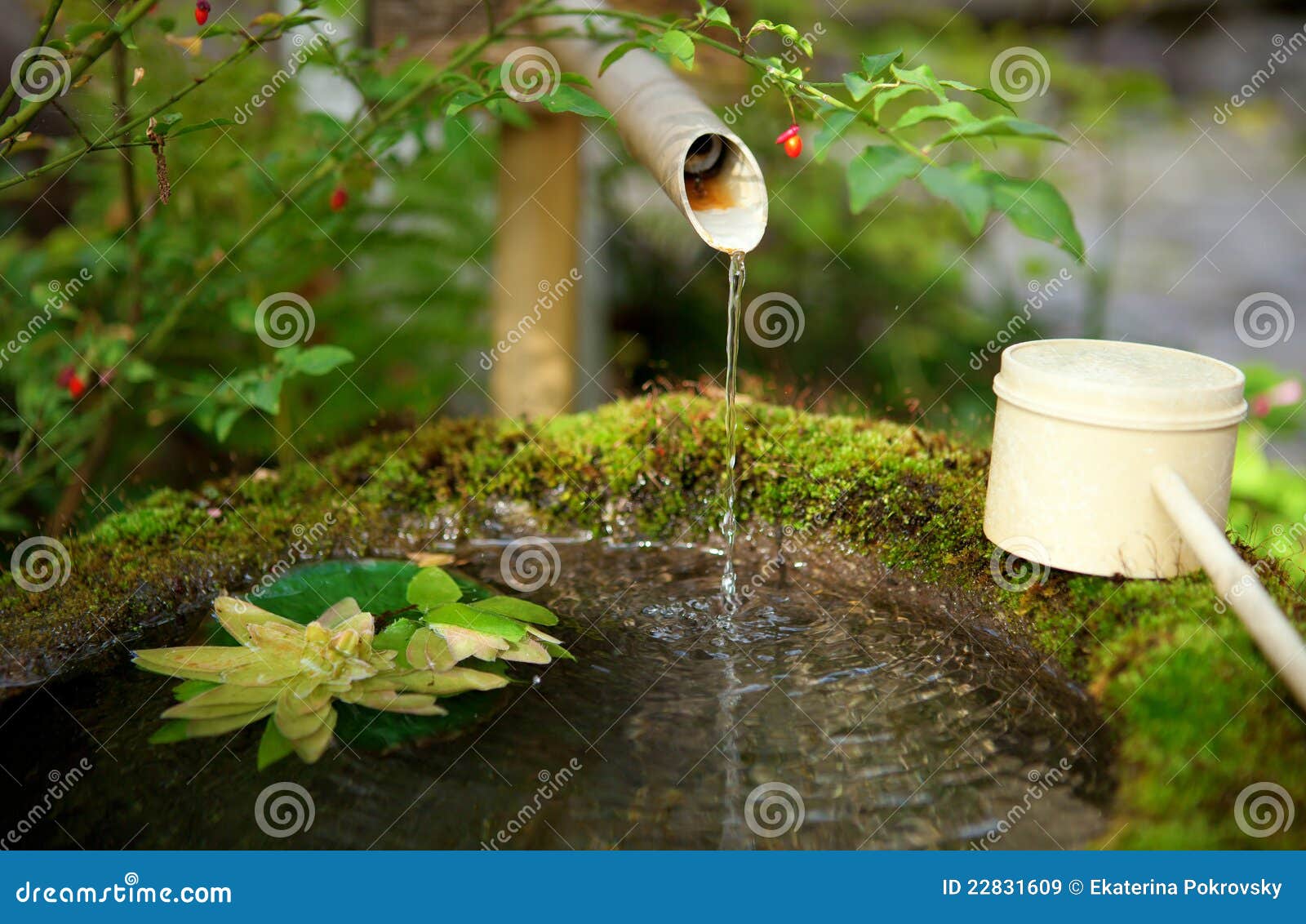 Japanese Water Dipper With Natural Mineral Water - Senboku, Akita ...
