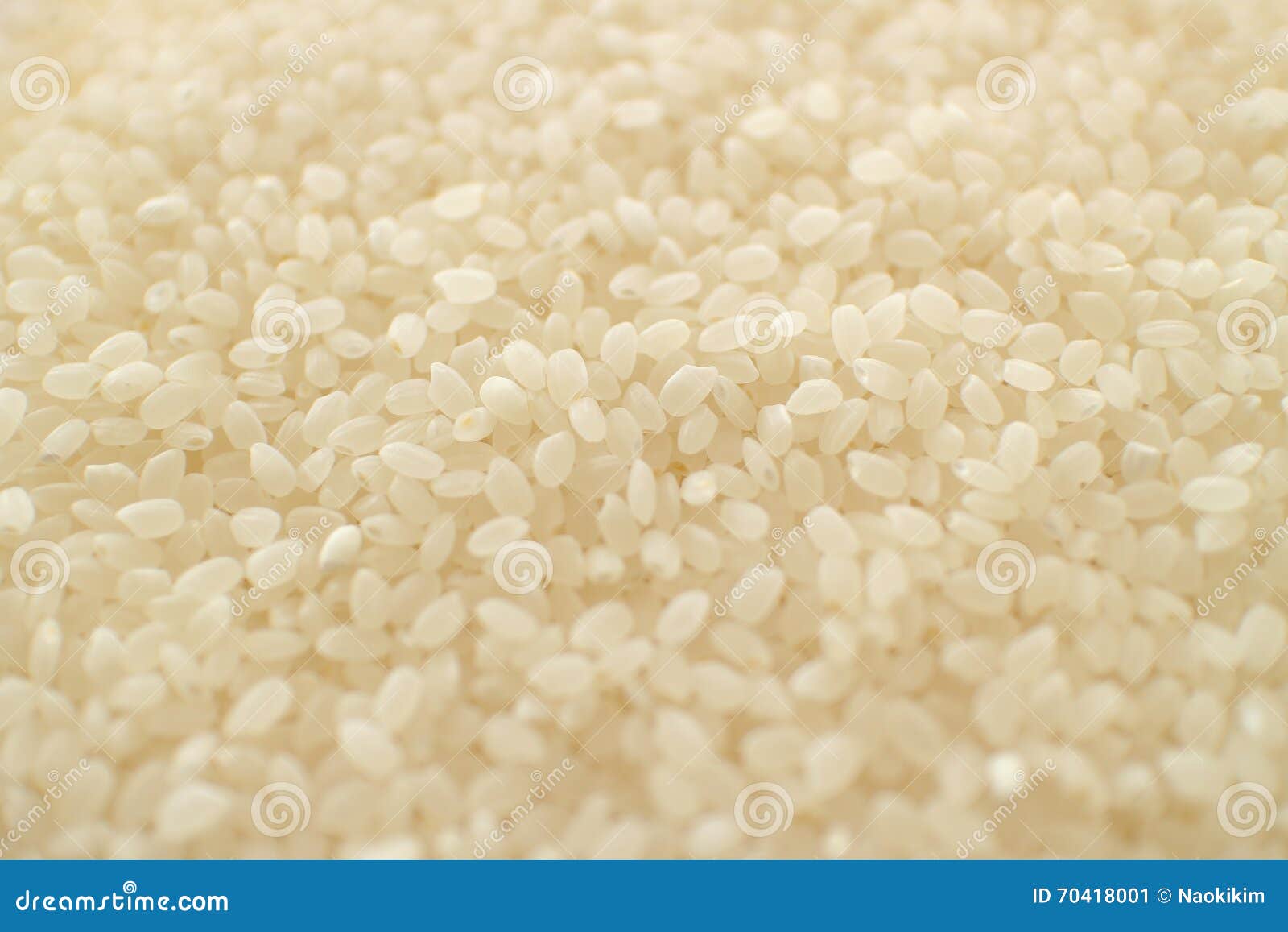 Japanese White Grain Rice Texture #2 Stock Image - Image of dietary ...