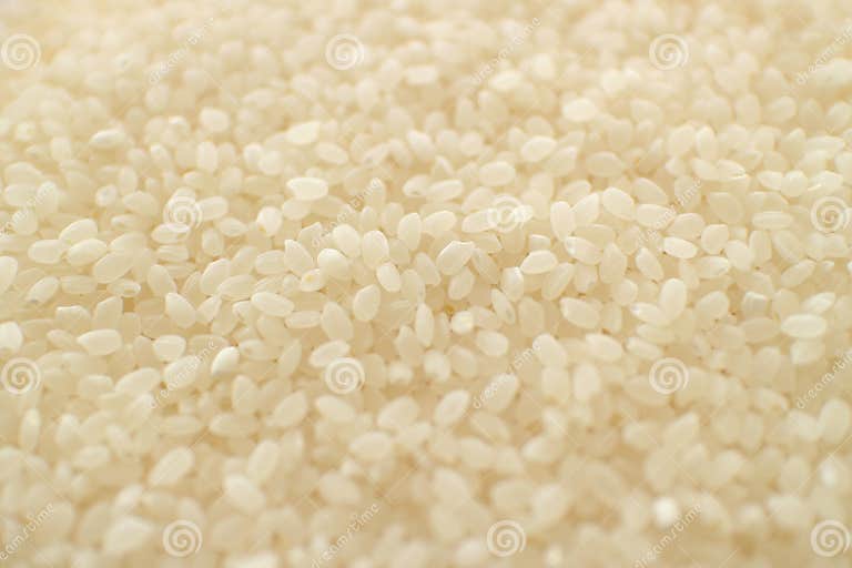 Japanese White Grain Rice Texture #2 Stock Image - Image of dietary ...