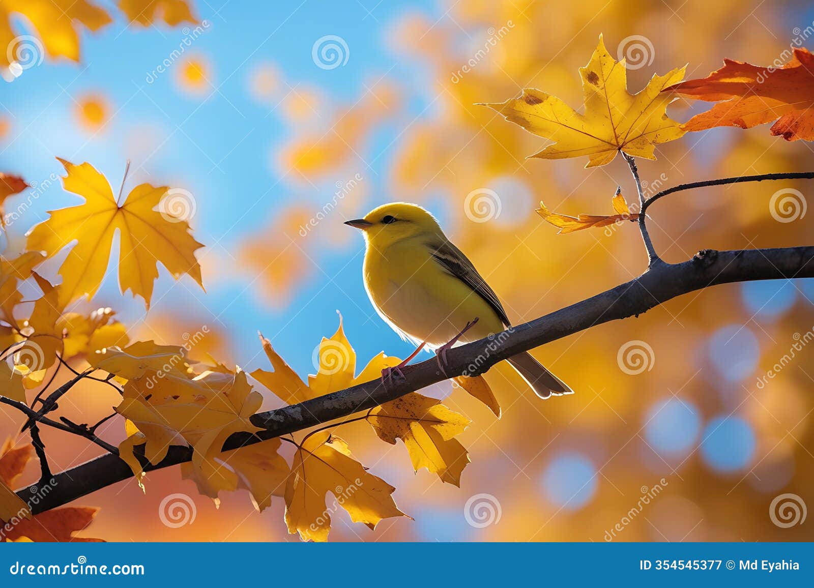 Japanese Zen Garden - Bird on a Perch Stock Illustration - Illustration ...