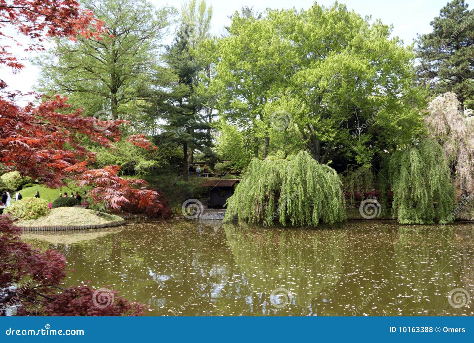 Japaneses garden stock photo. Image of design, flowers - 10163388