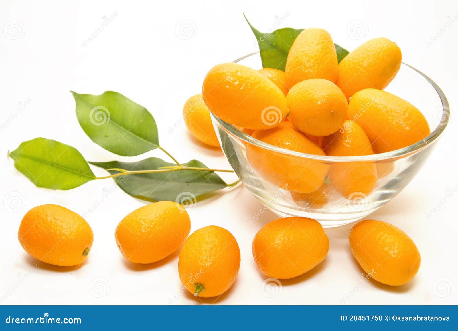 Japanische Orange stockfoto. Bild von früchte, blätter - 28451750