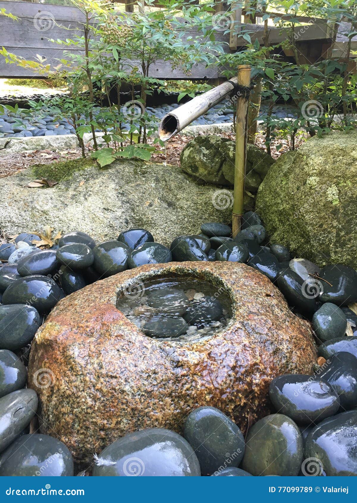 Japanischer Garten-Brunnen stockbild. Bild von ruhig - 77099789