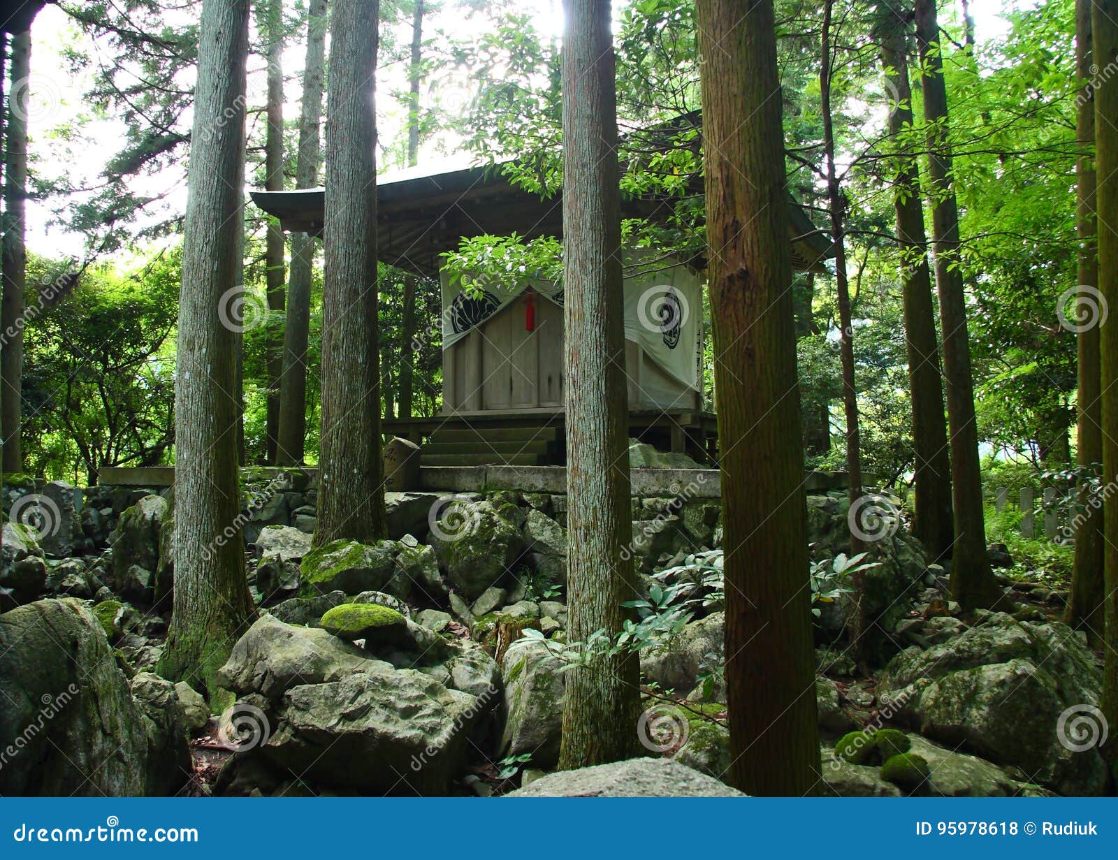 Japanischer Tempel in Einem Wald Stockfoto - Bild von schrein ...