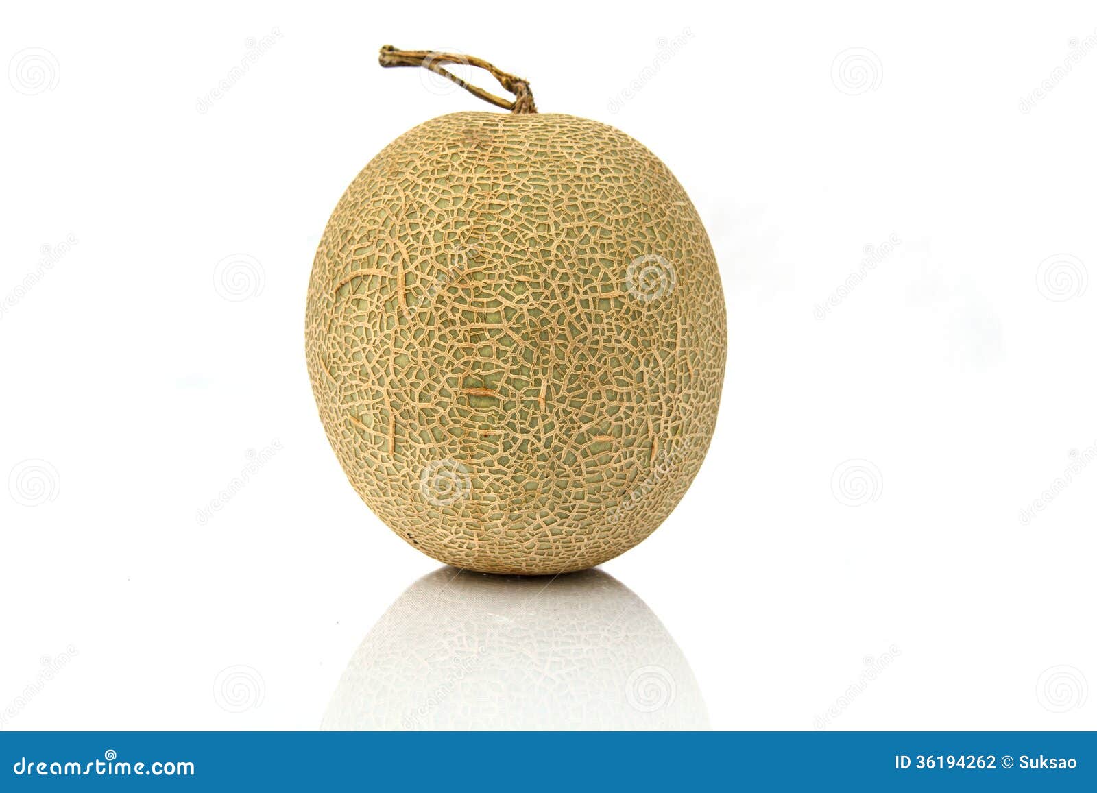 Japanse Meloen stock foto. Image of japans, dieet, gestreept - 36194262