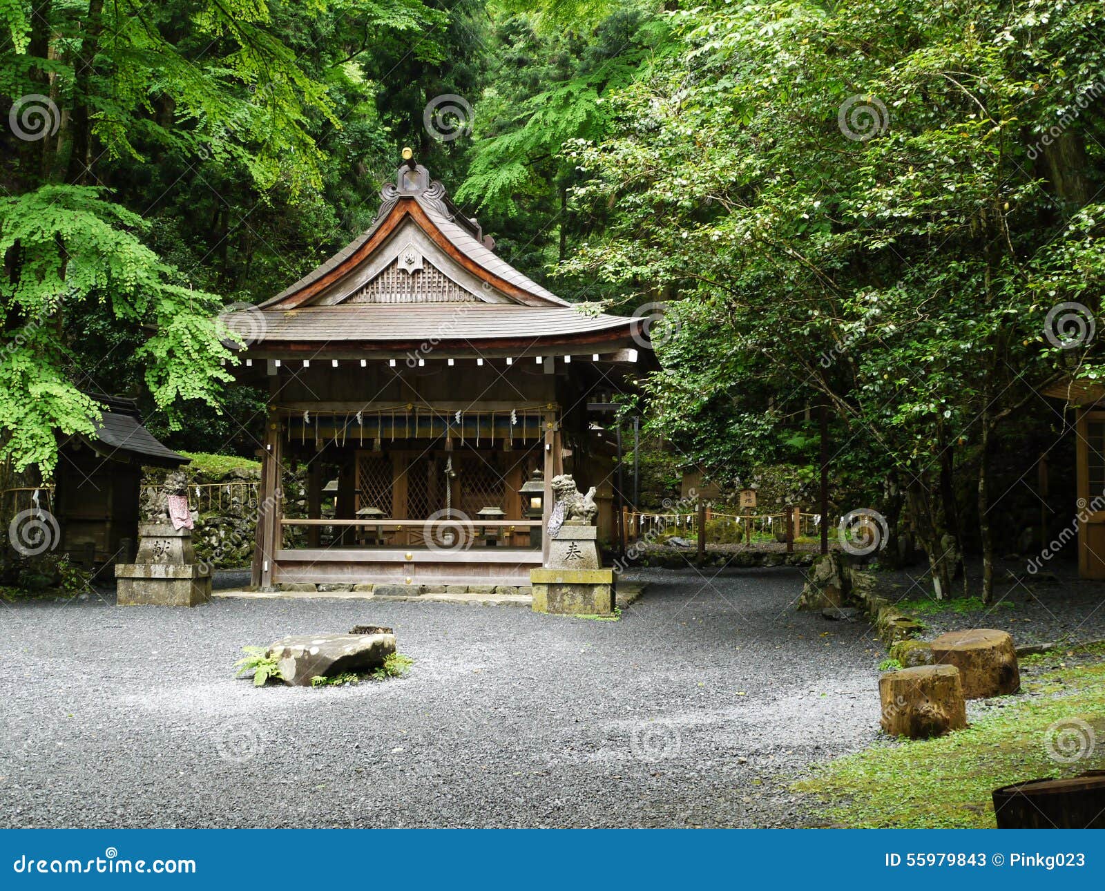 Japanse Temple in the Forest Stock Image - Image of roof, torii: 55979843