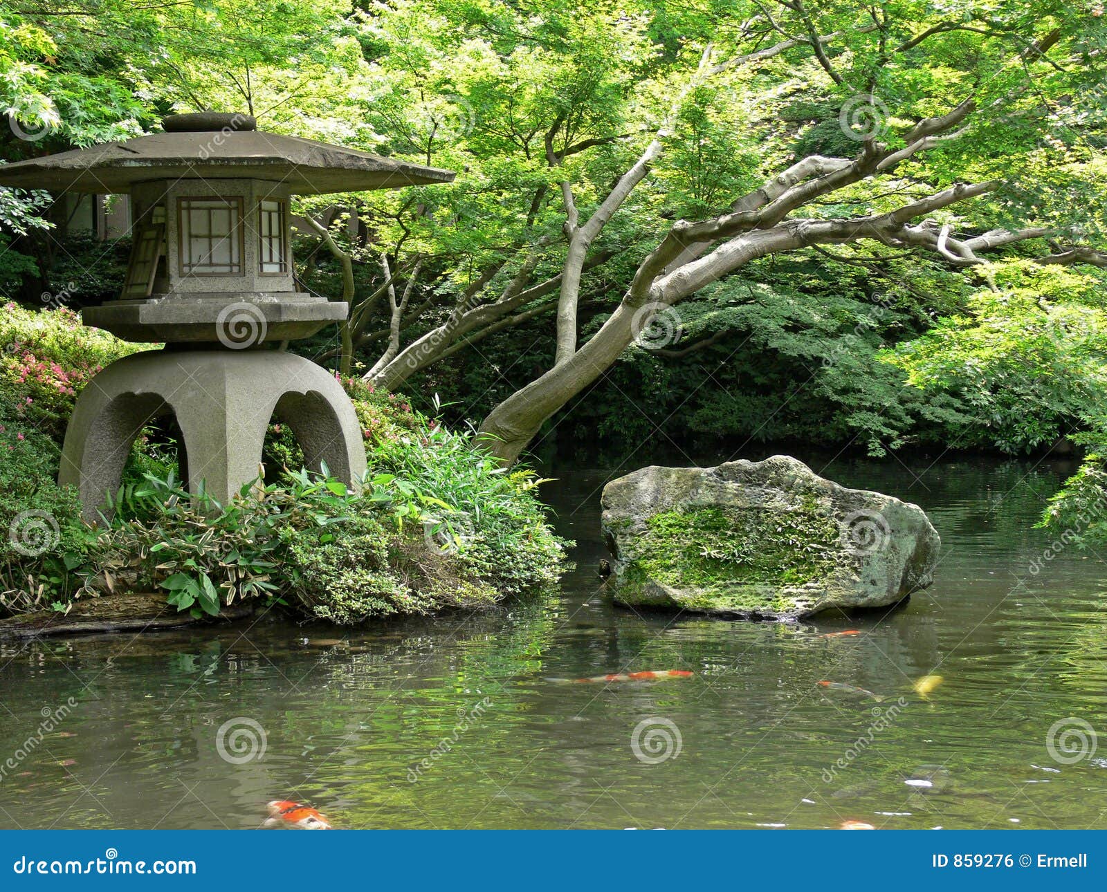 Japanse tuin stock foto. Image of rotsen, flora, meer, zomer - 859276