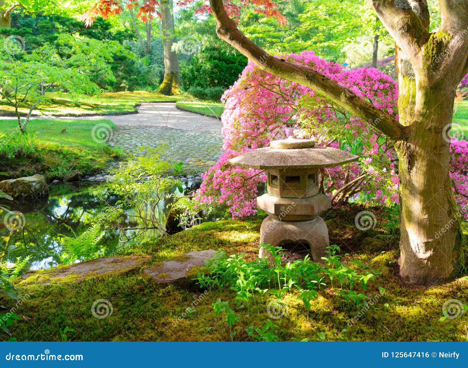 Japanse tuin in Den Haag stock foto. Image of azië, huis - 125647416