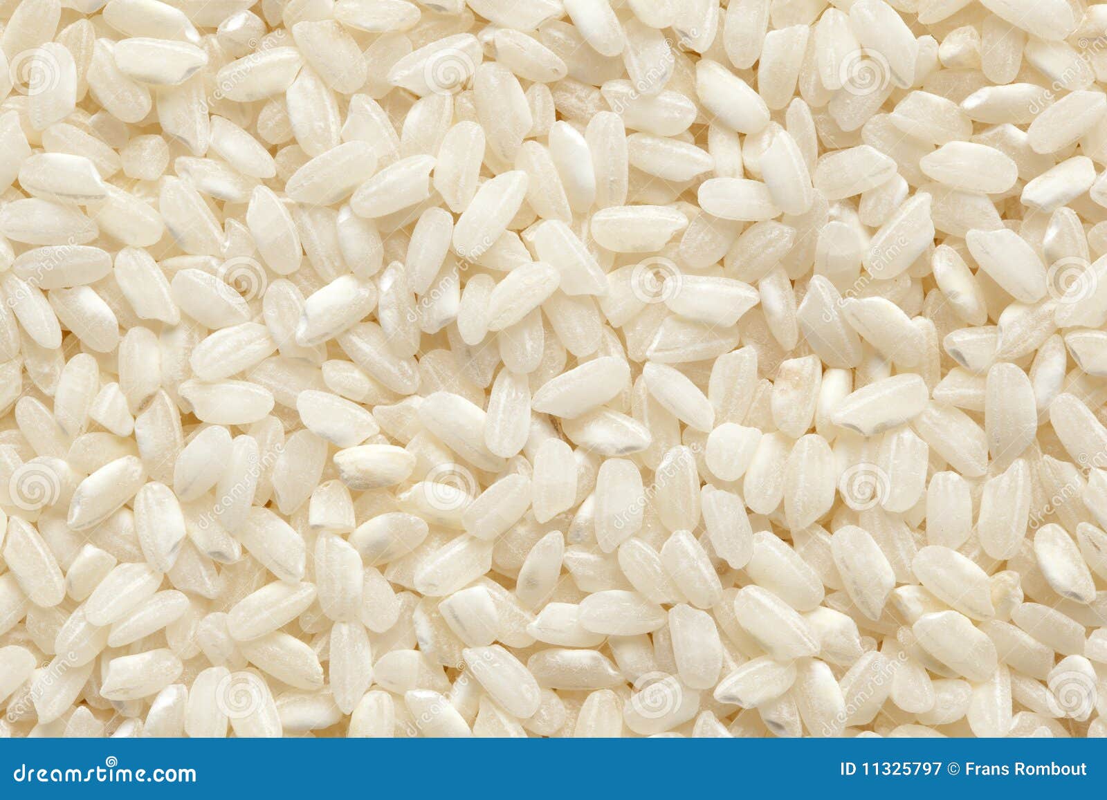 Japanse witte rijst stock afbeelding. Image of kader - 11325797