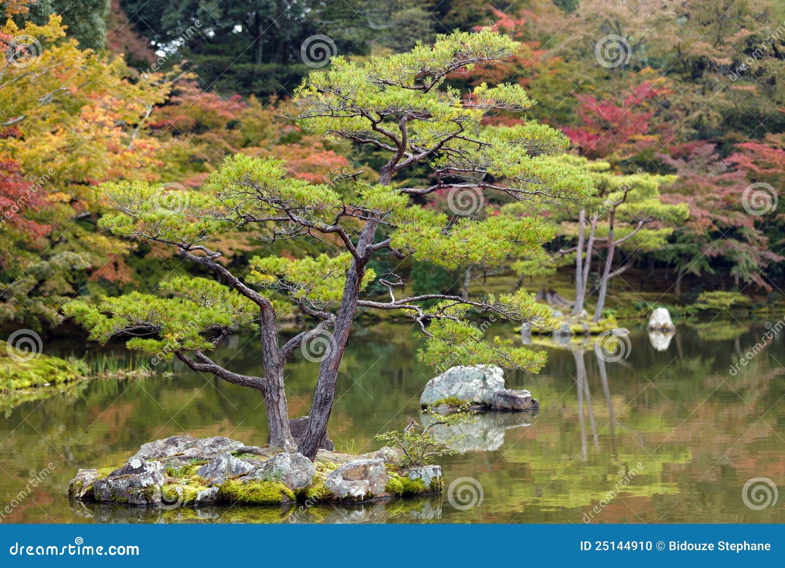 Japanse zentuin stock foto. Image of aziatisch, sier - 25144910
