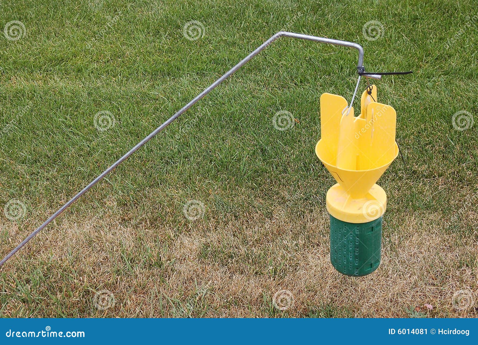 Two Swarm Traps And Bait Hives, Boxes To Attract And Catch Free Honey ...