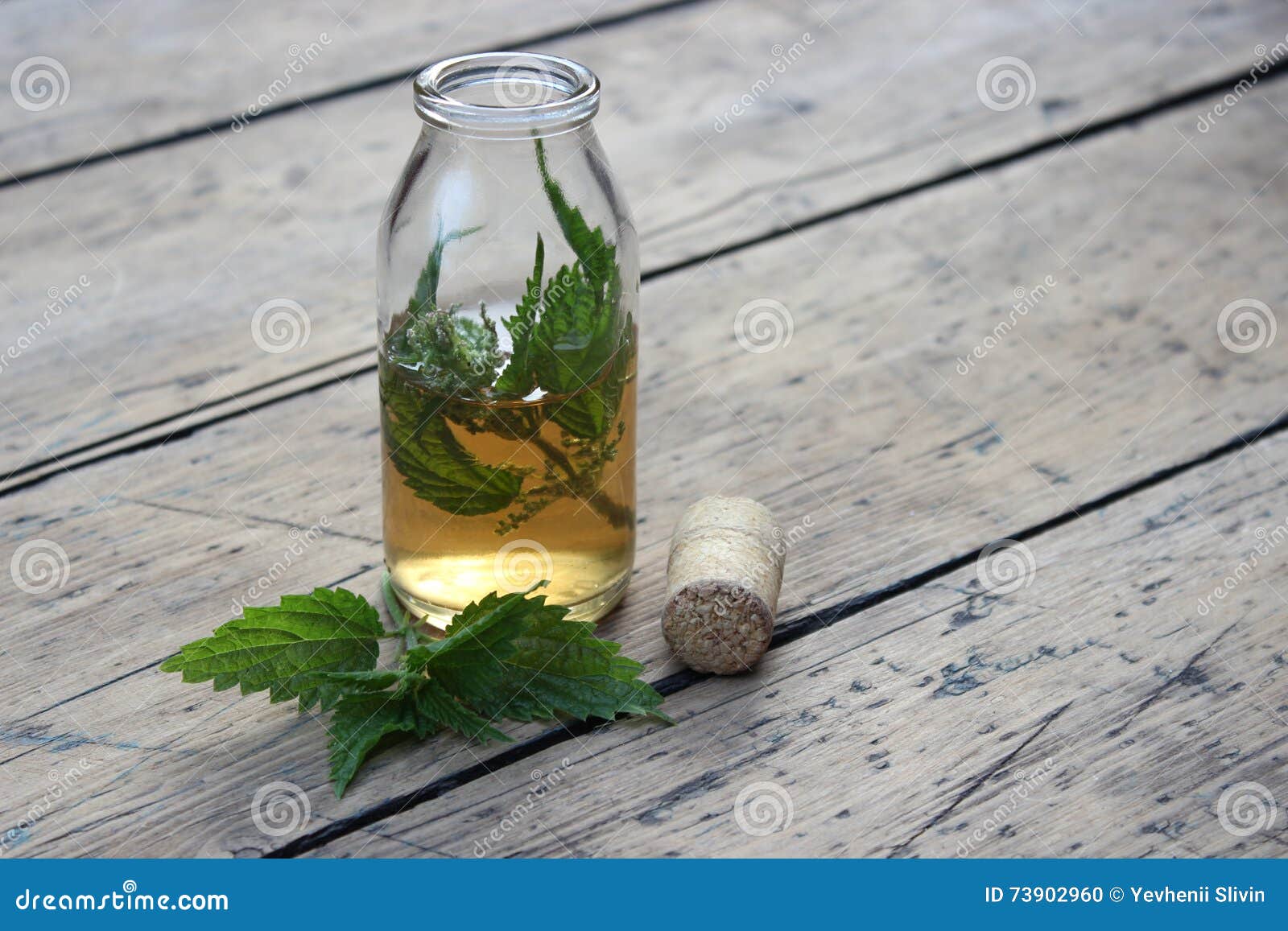 Jar with Alcohol Tincture and Nettle Leaves Stock Photo - Image of ...