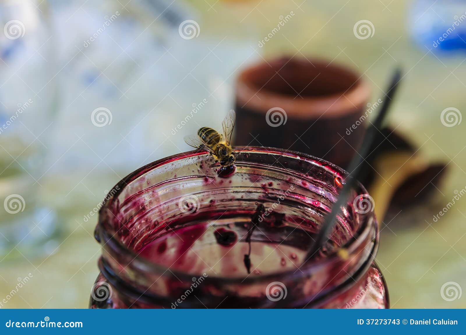 Jar of confiture with bee stock image. Image of flying - 37273743