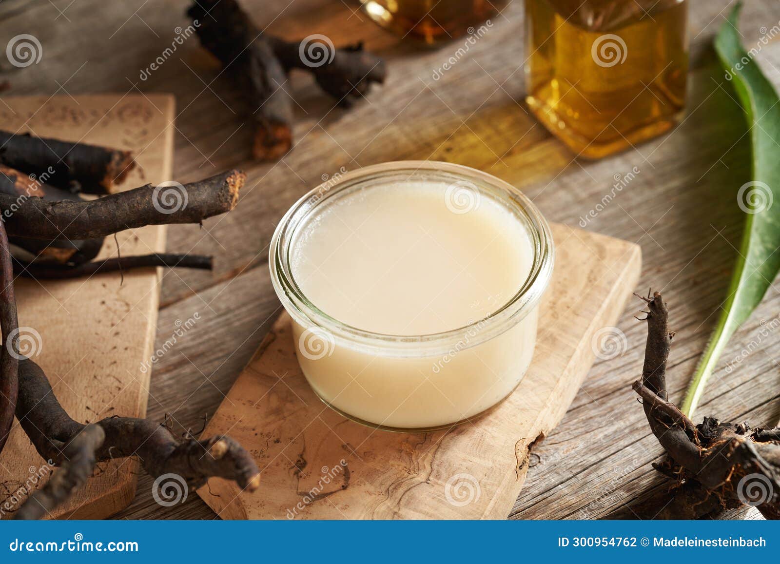 A Jar of Homemade Comfrey Ointment Made of Rendered Pork Lard and Fresh ...