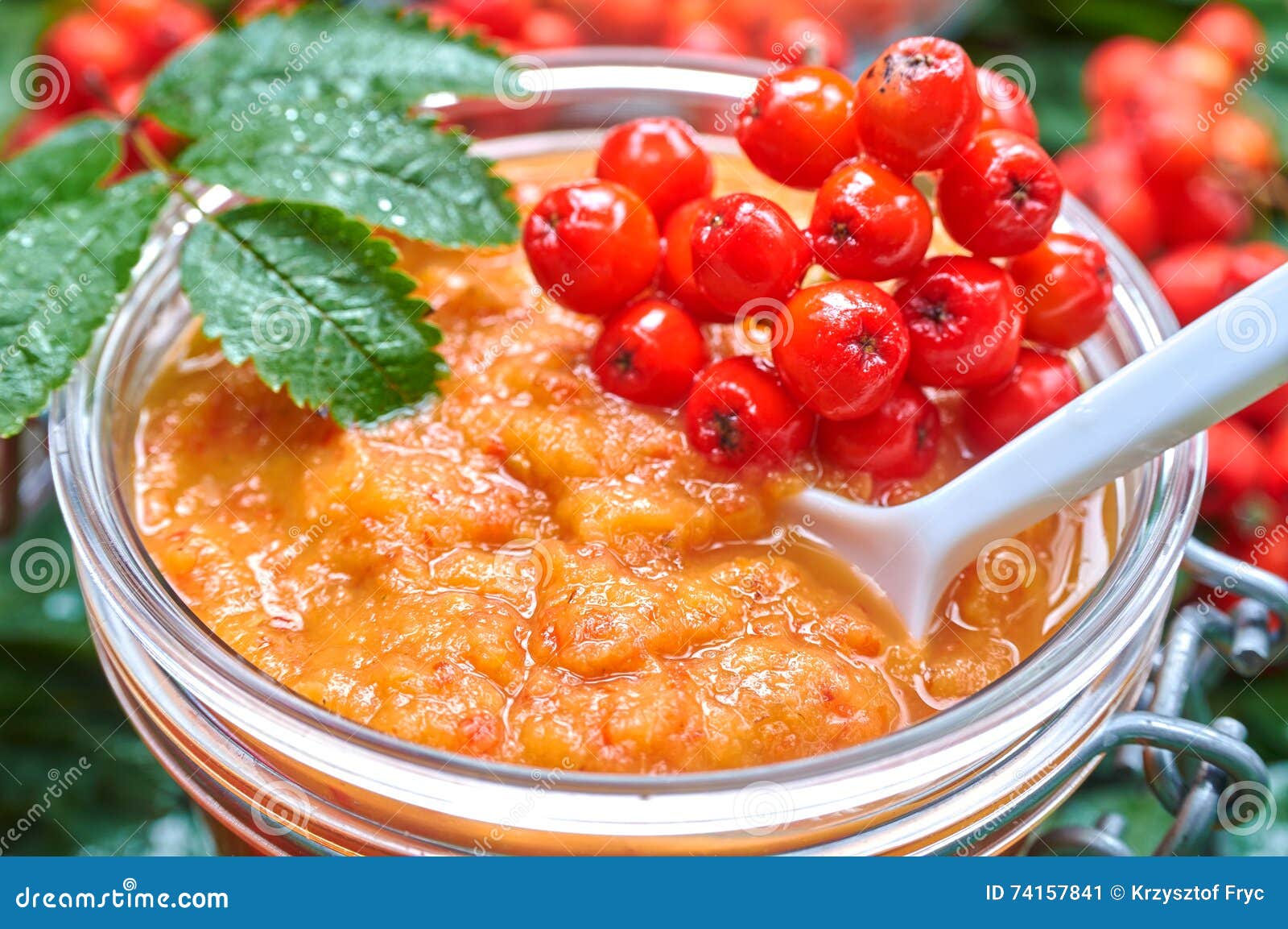 Jar with rowan berries jam stock image. Image of natural - 74157841
