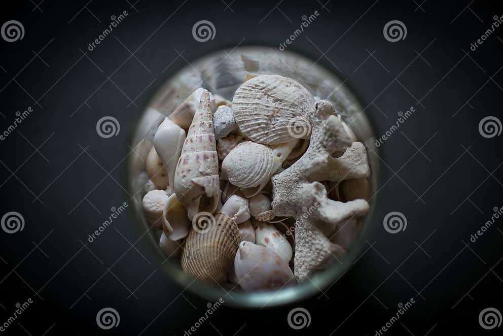 Jar of shells stock photo. Image of care, garage, land - 49729716