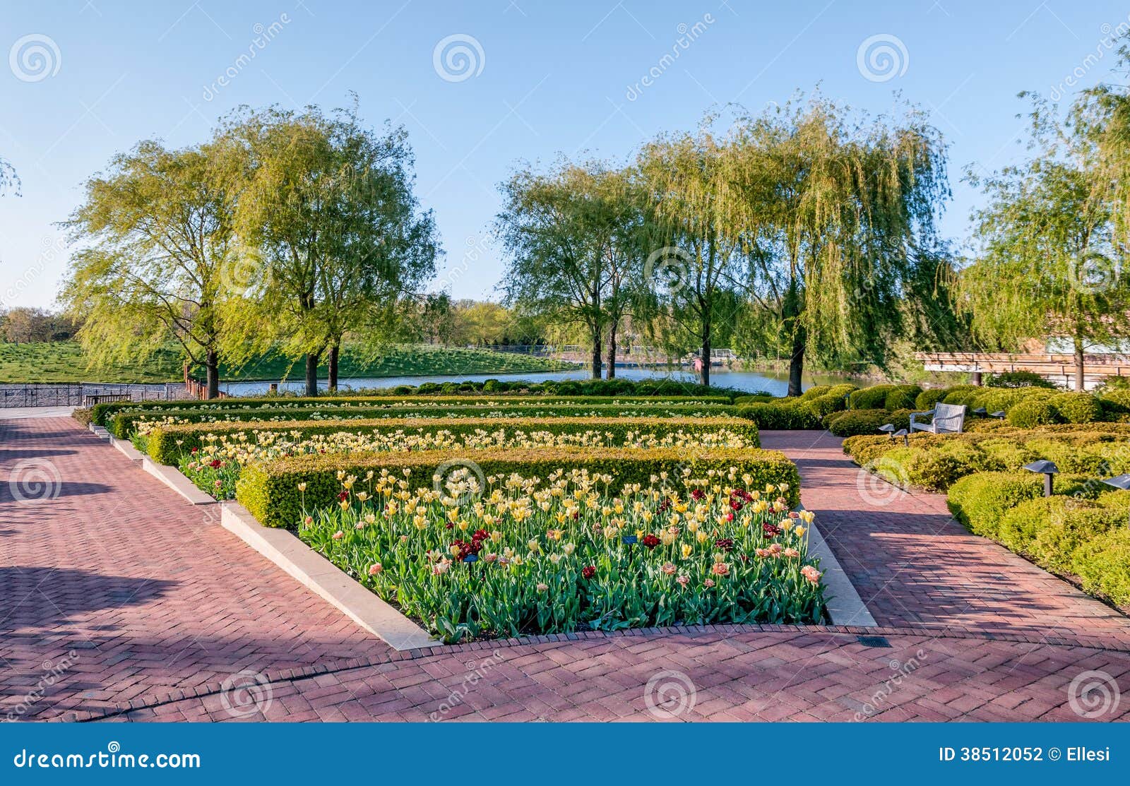 Jardín botánico de Chicago foto de archivo. Imagen de flores - 38512052