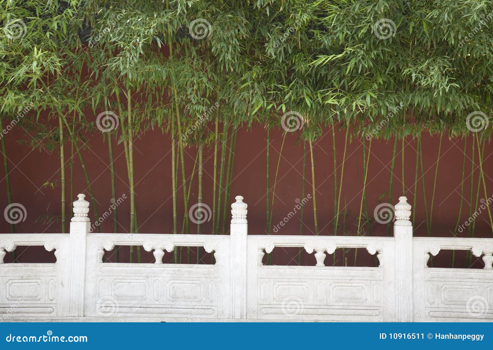 Jardín de bambú chino imagen de archivo. Imagen de estructura - 10916511