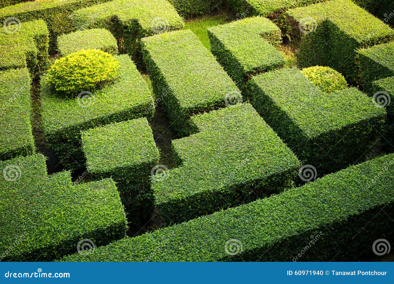 Jardín del laberinto foto de archivo. Imagen de laberinto - 60971940
