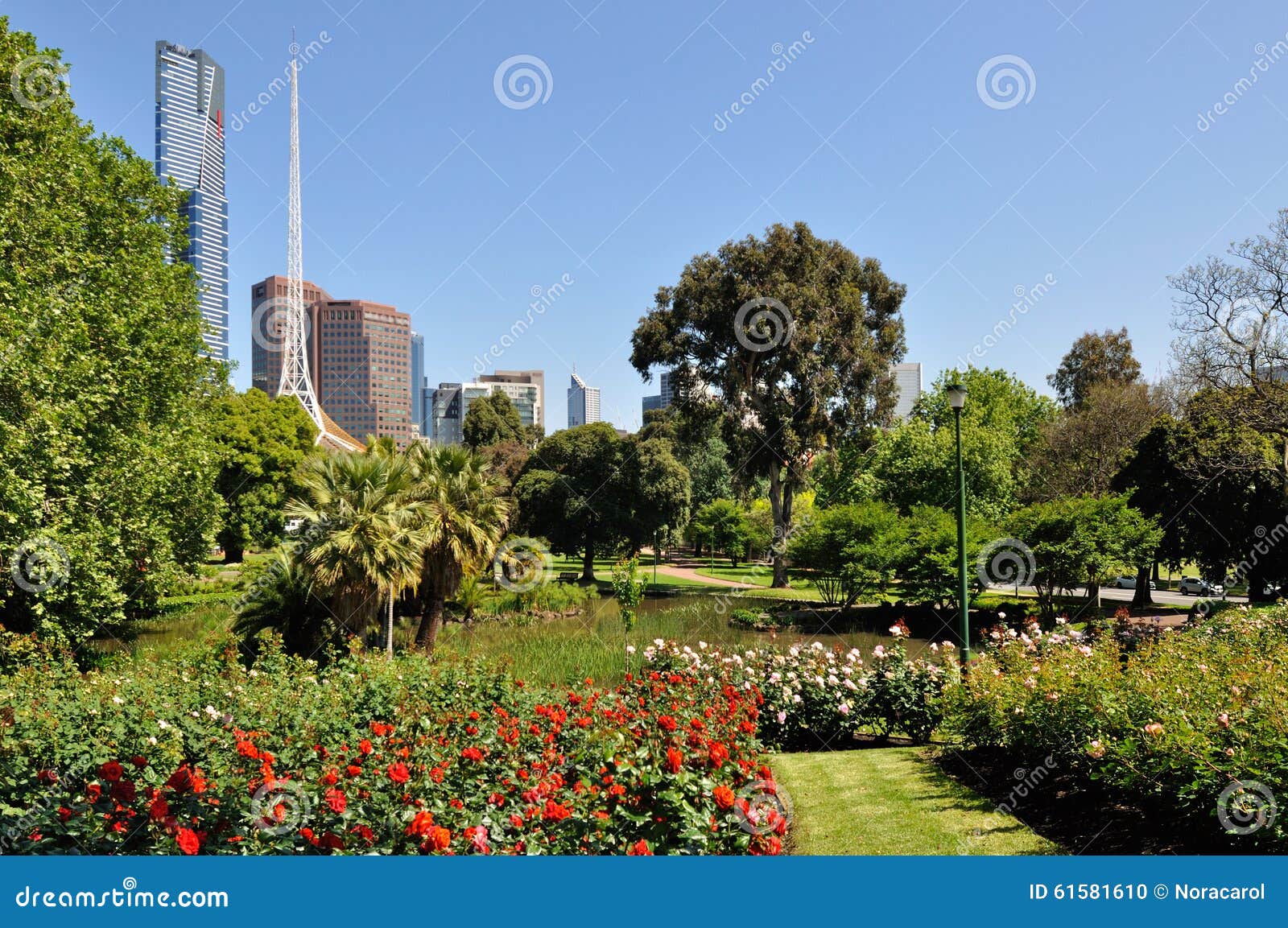 Jardim Botânico Real, Melbourne Foto de Stock - Imagem de horizonte ...