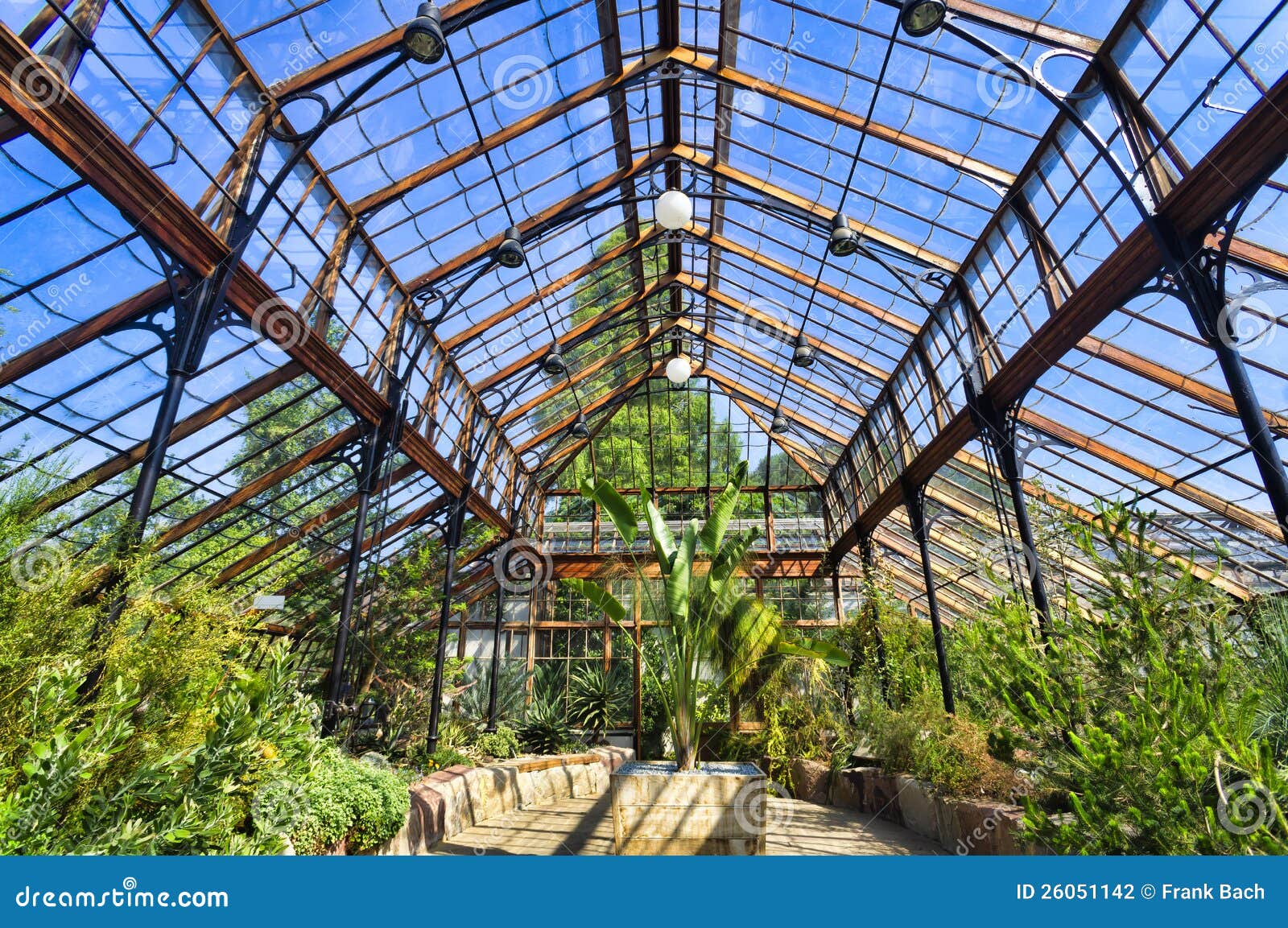 Jardin Botanique, Serre Chaude Photo stock - Image du fleur, glace ...