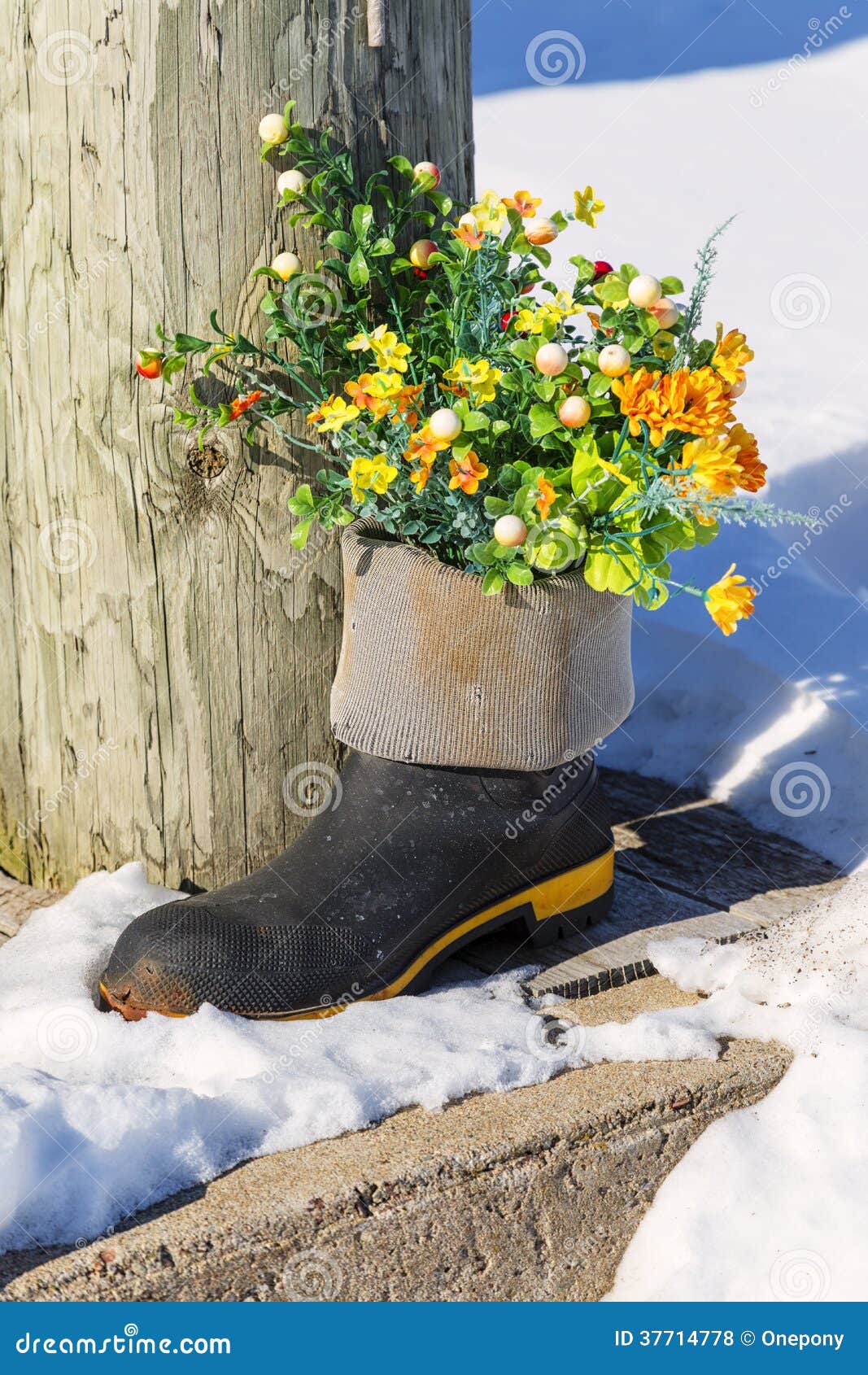 Jardin De Botte En Caoutchouc Photo stock - Image du bottes, chaussures ...