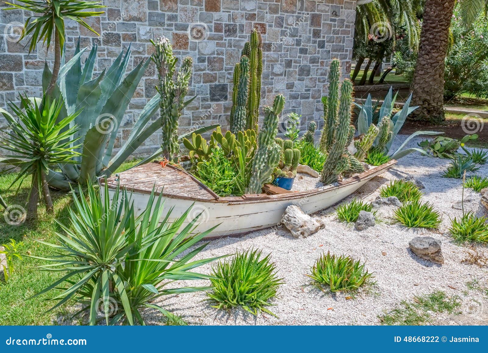 Jardin de cactus photo stock. Image du décorer, caillou - 48668222