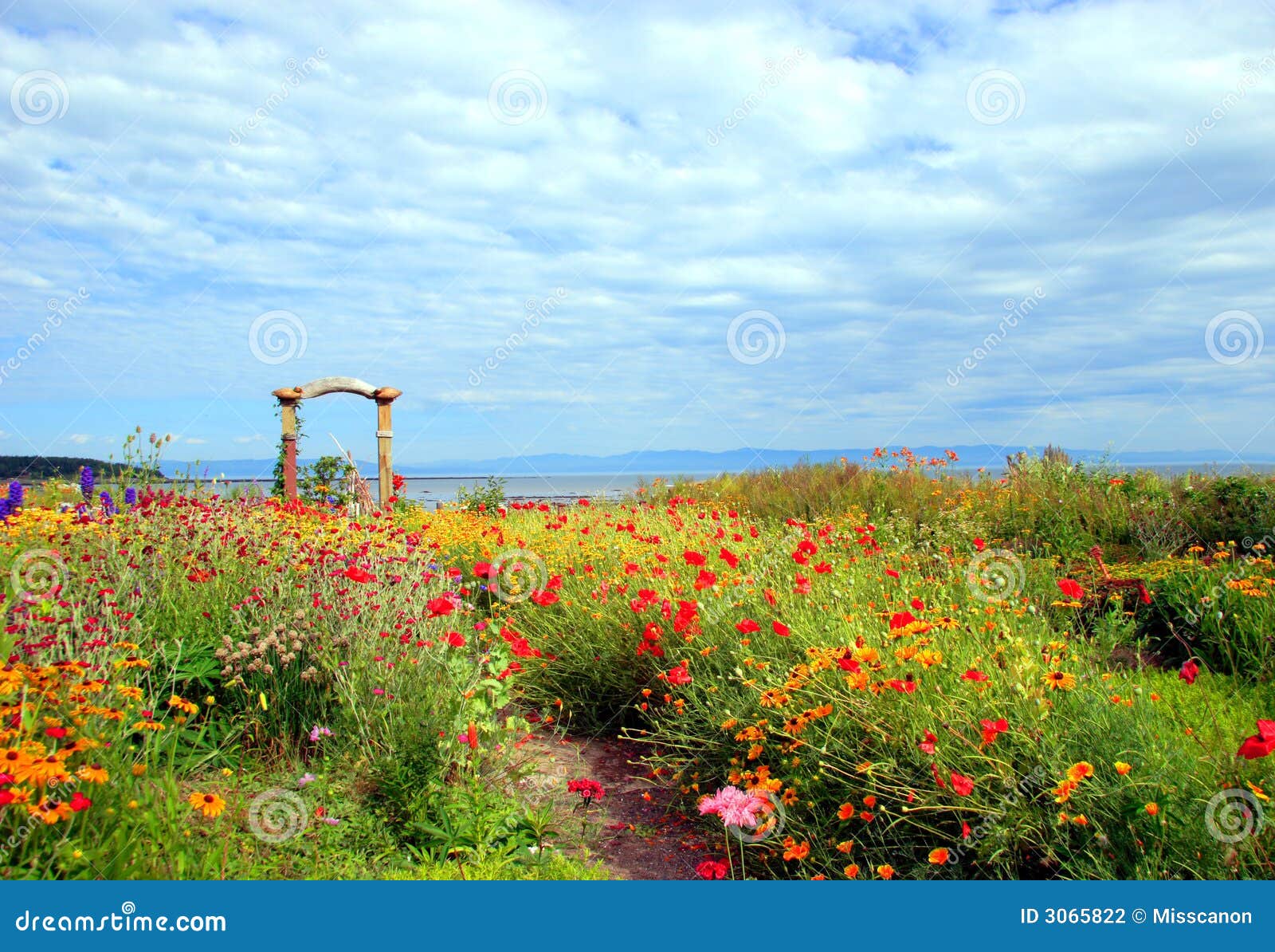 Jardin De Fleur Spectaculaire Photo stock - Image du croissance ...