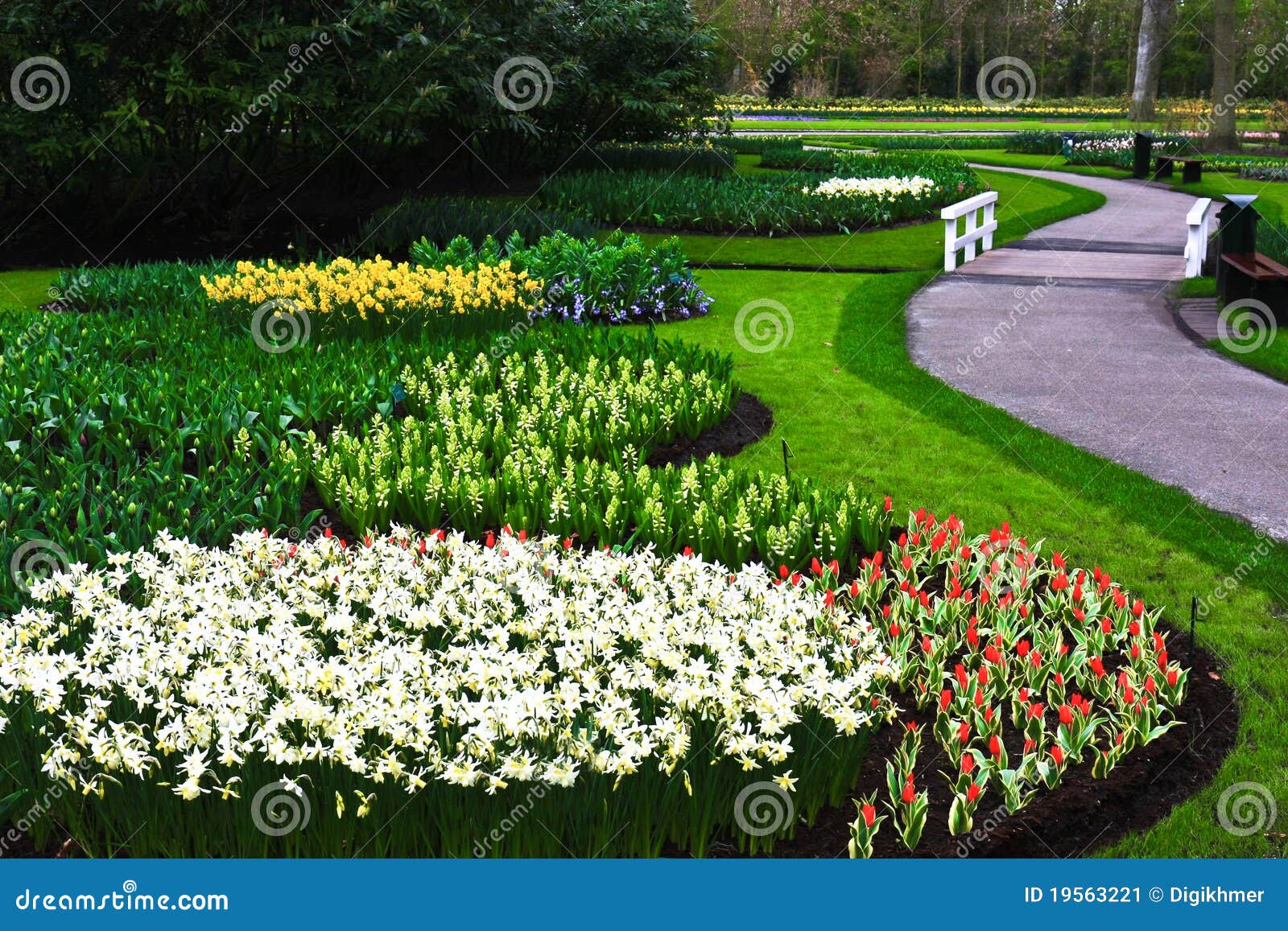 Jardin De Fleurs De Tulipes, Lisse Image stock - Image du calme ...
