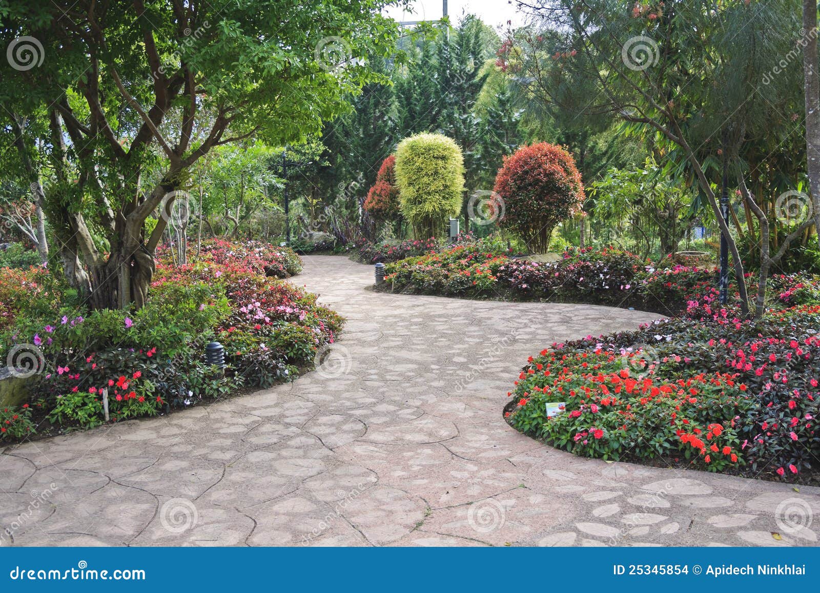 Jardin Fleuri De Conception Photo stock - Image of sentier, isolement ...