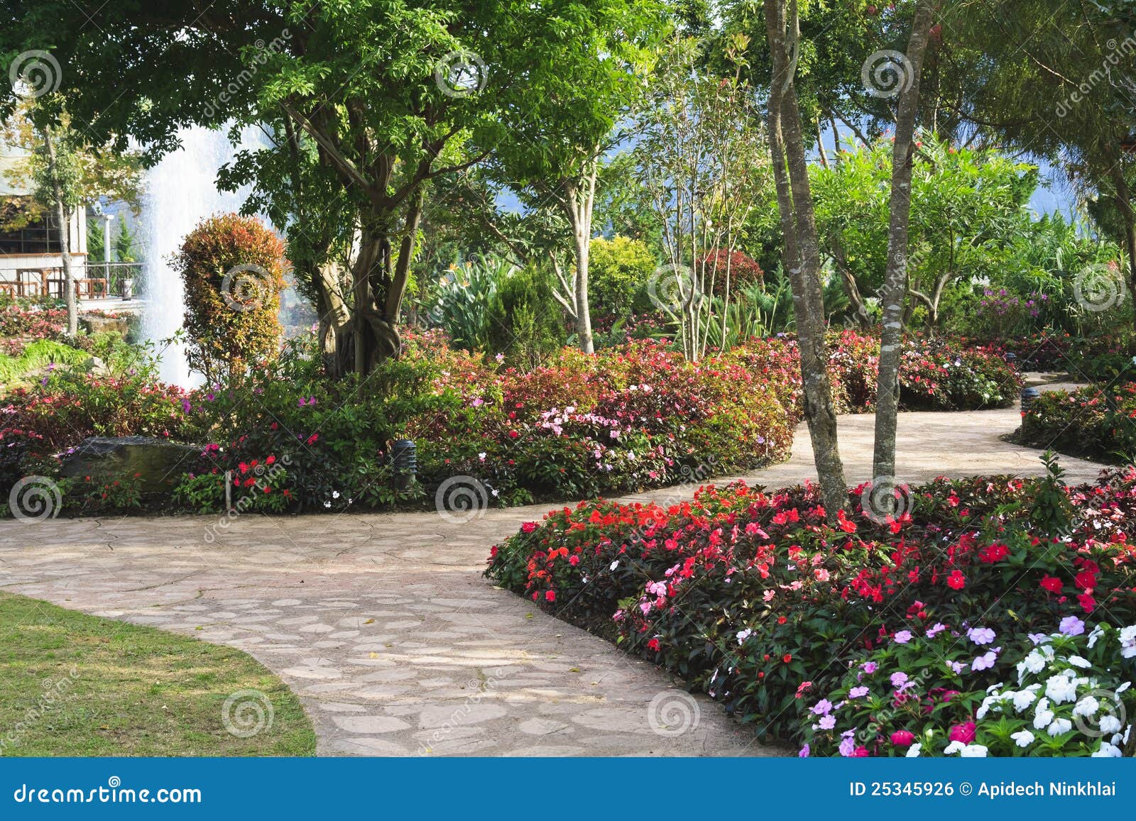 Jardin Fleuri De Conception Photo stock - Image of fleur, contexte ...