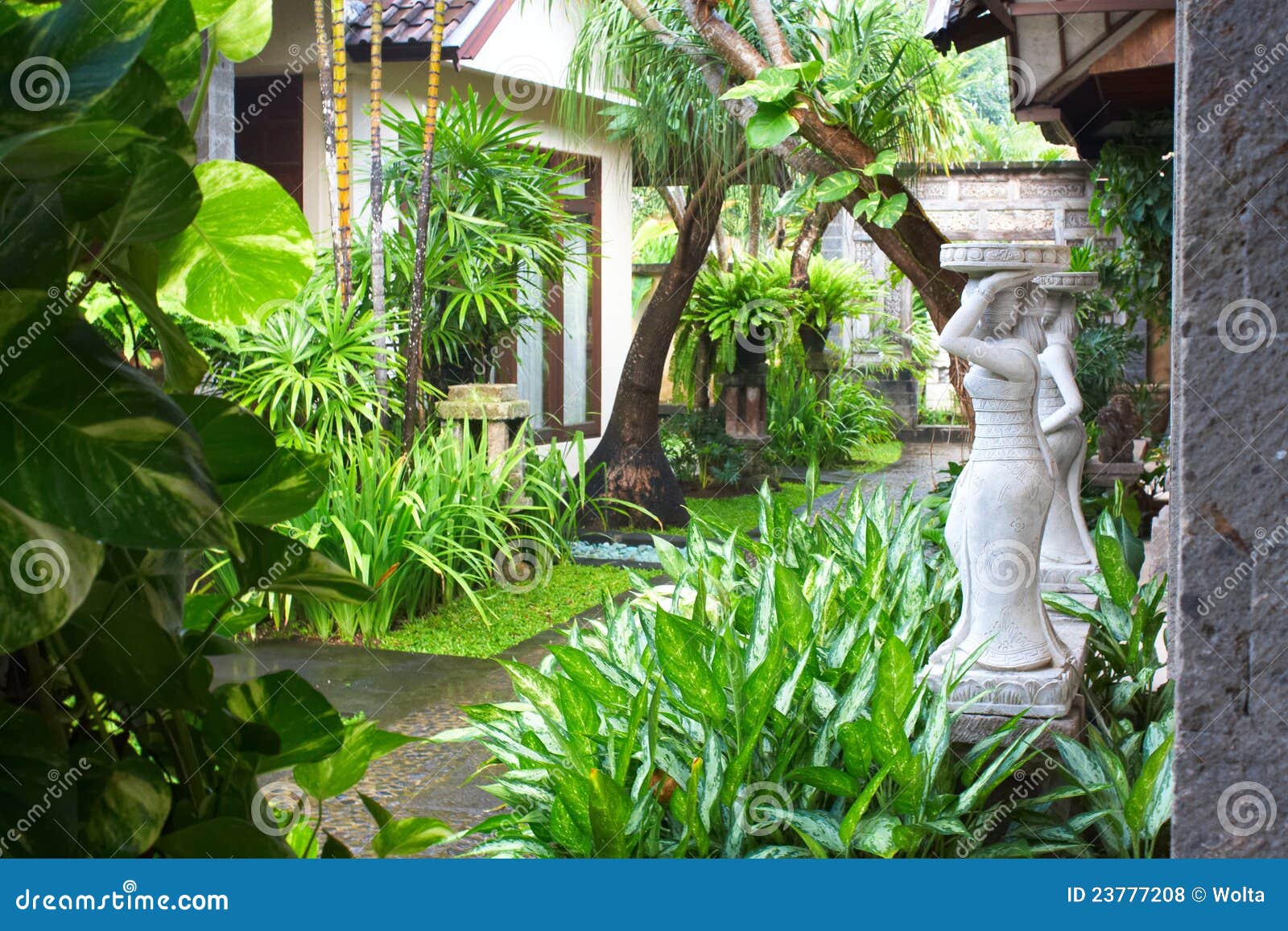 Jardin Tropical Photos libres de droits - Image: 23777208