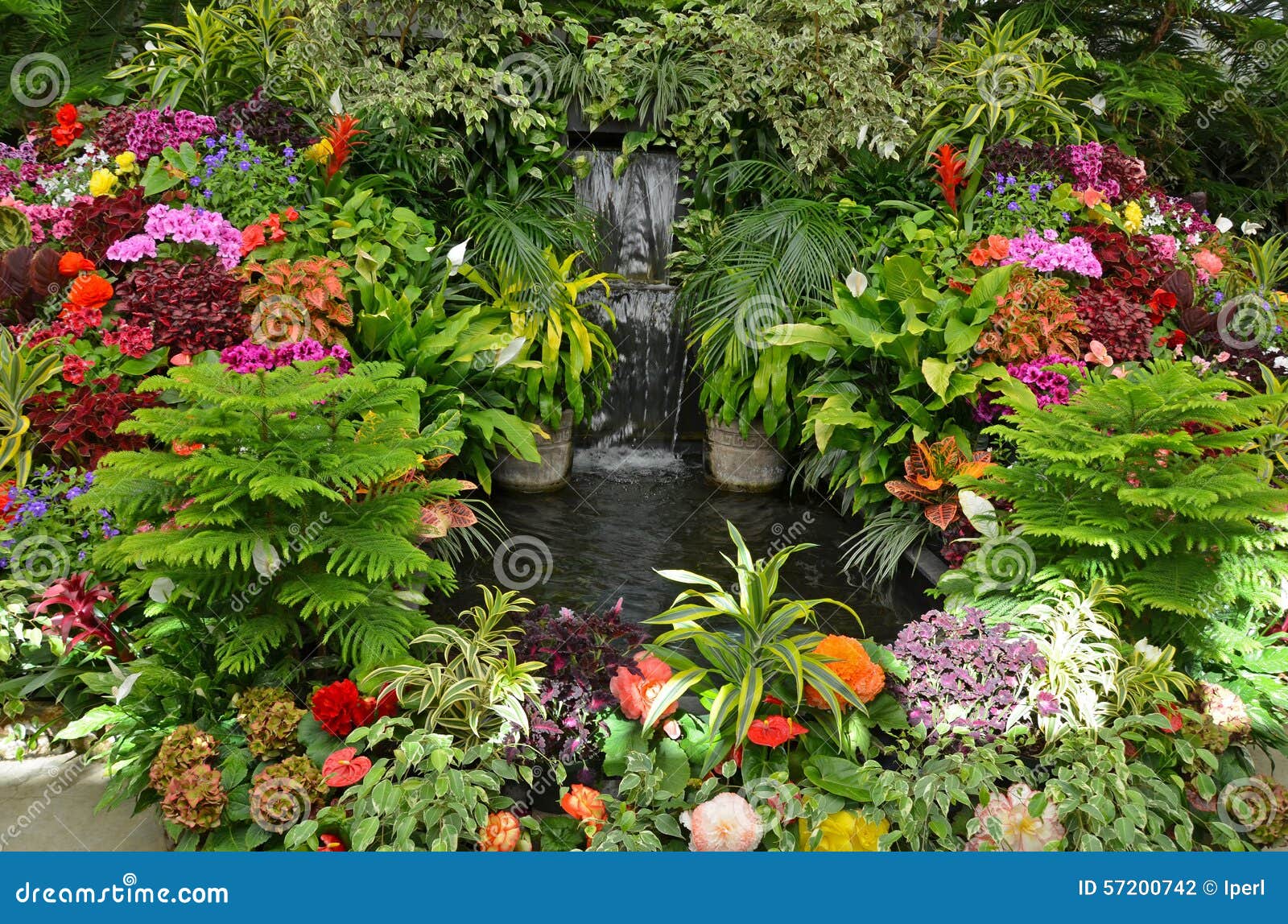 Jardin Tropical Coloré Photo stock - Image: 57200742