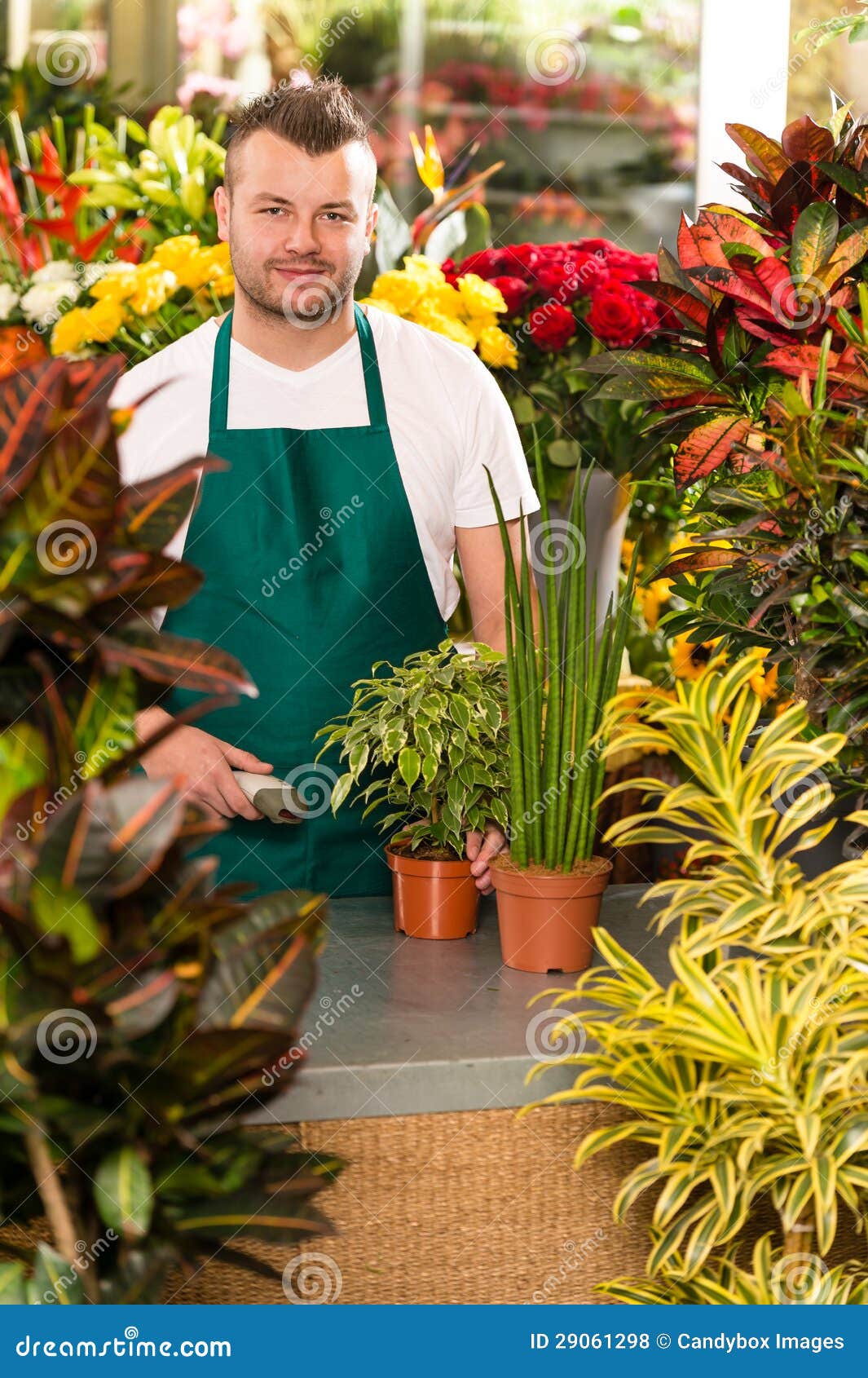 Jardinage De Fleuriste De Code Barres De Lecture De Jeune Homme Photo ...