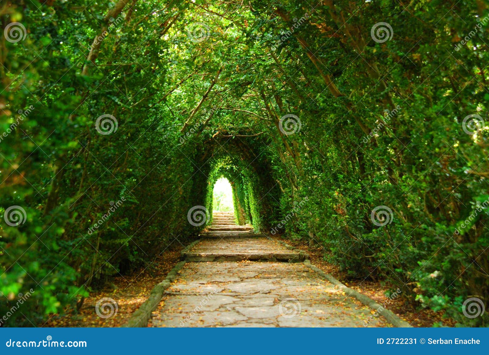 Jardins em Balcic imagem de stock. Imagem de jardim, mola - 2722231