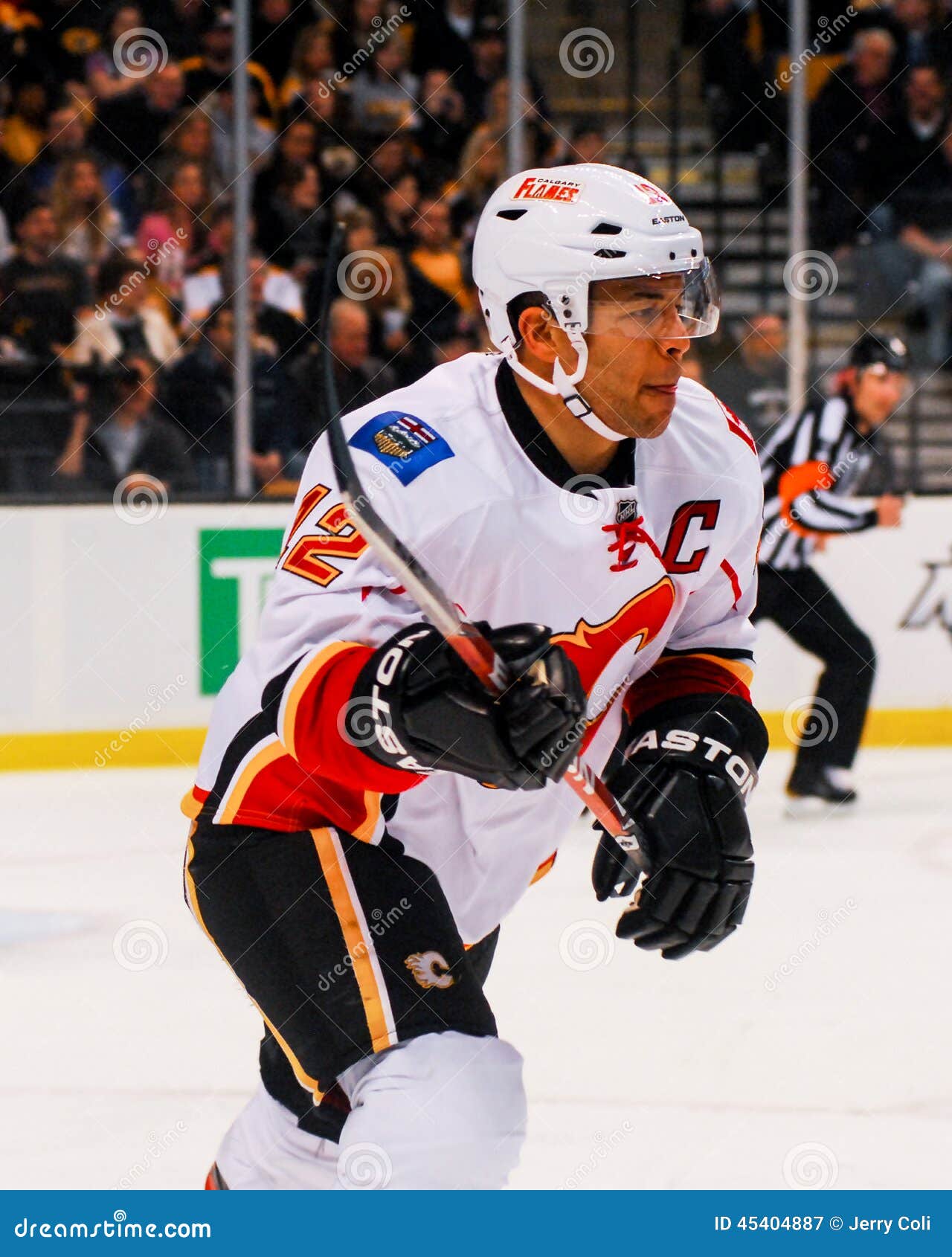 Jarome Iginla Calgary Flames Editorial Photography - Image of hockey ...