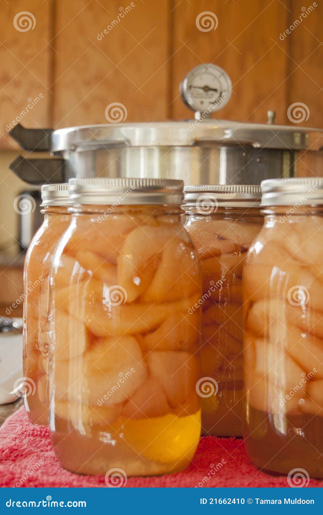 Jars of home canned pears stock photo. Image of storage - 21662410
