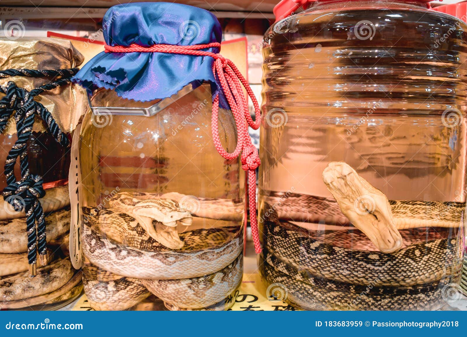 Jars with Traditional Japanese Alcohol with Dead Snake Inside Stock ...