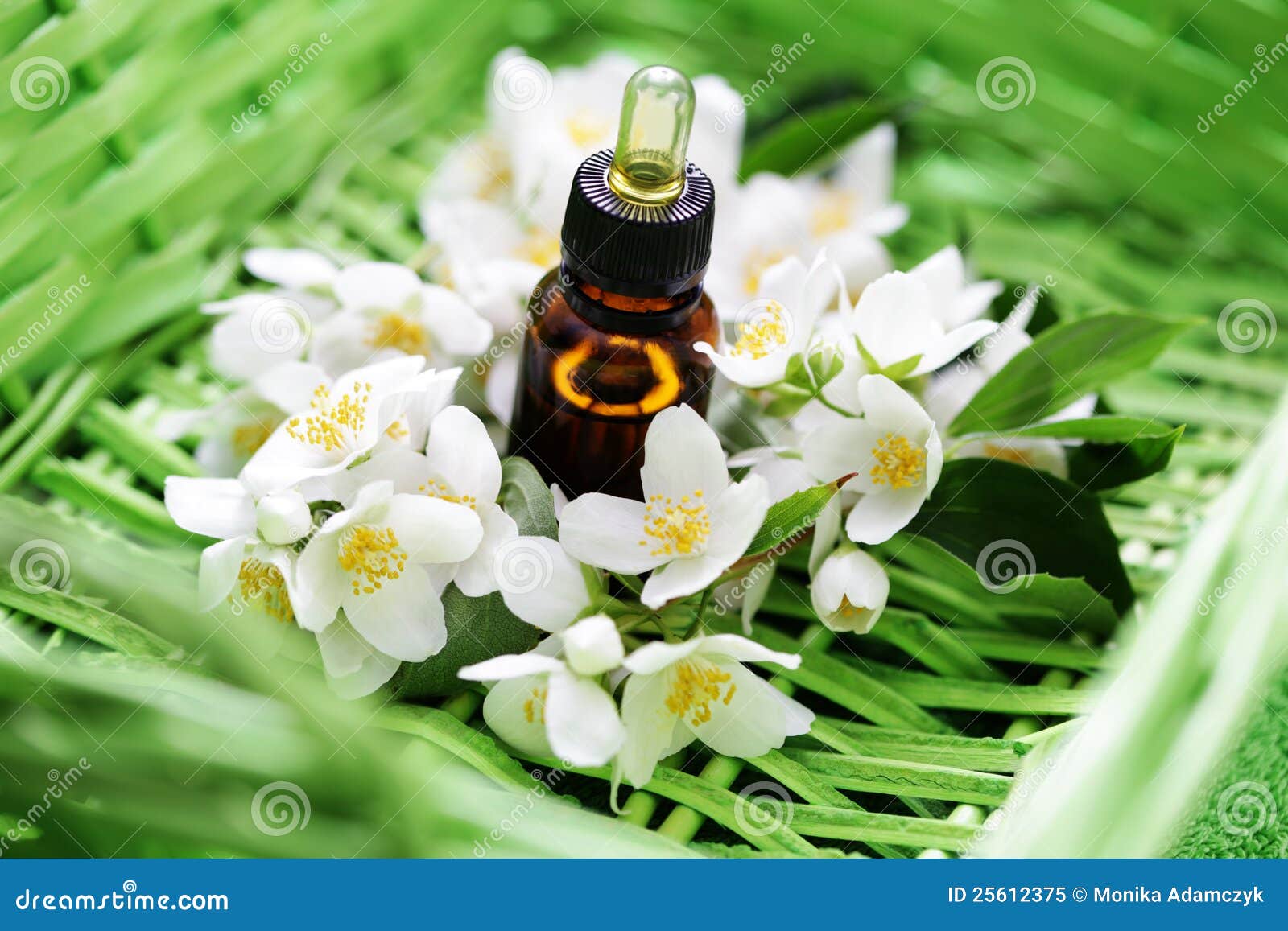 Jasmin essential oil stock image. Image of plant, relaxation - 25612375
