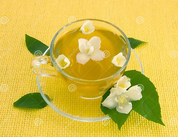 Jasmin tea stock image. Image of rest, fragrant, pleasant - 9694265