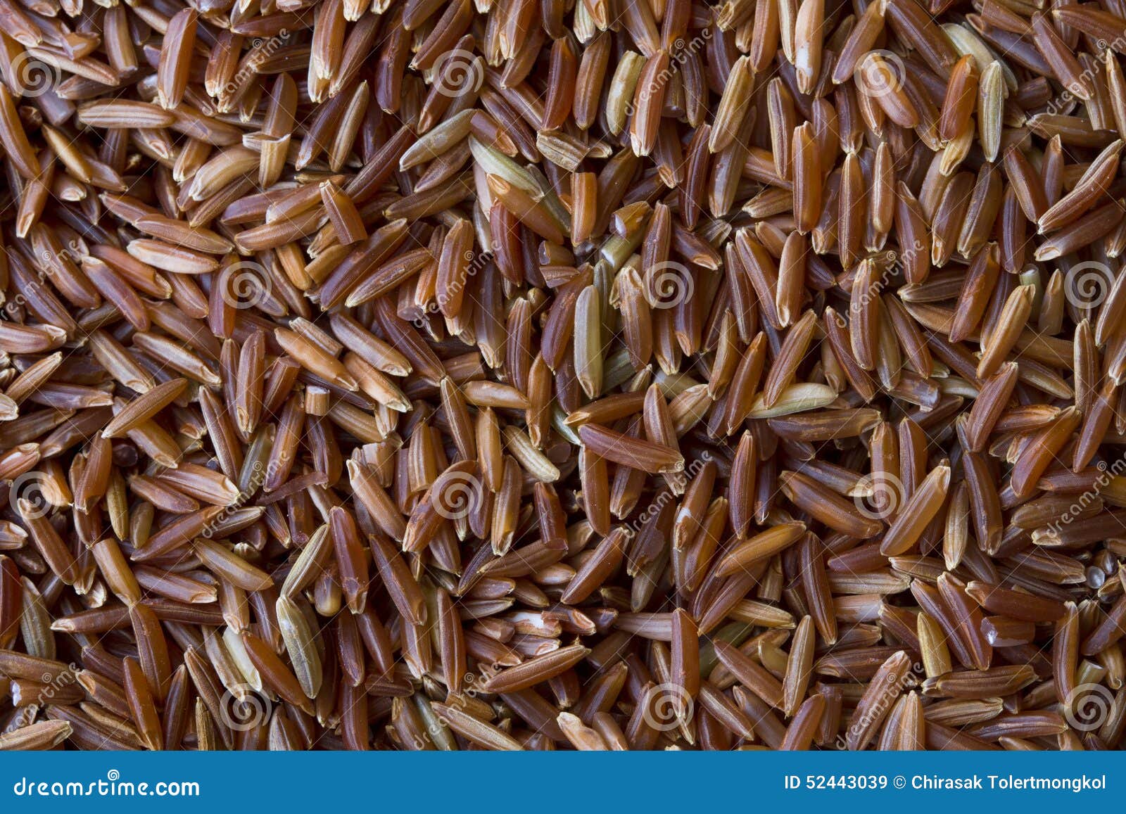 Jasmine Brown Rice stock image. Image of oriental, cooking - 52443039
