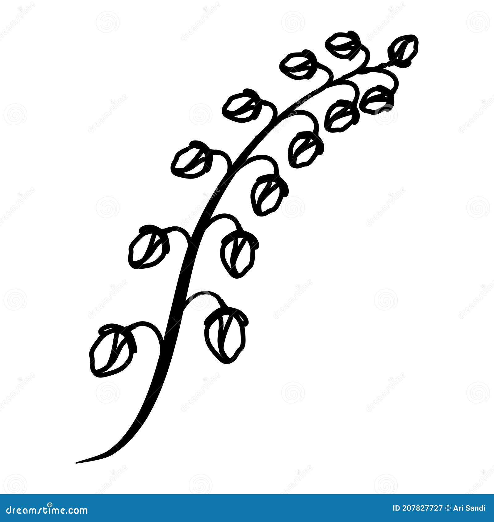 Jasmine Floral Hand Drawn. Vector Design Illustration Sign Stock ...