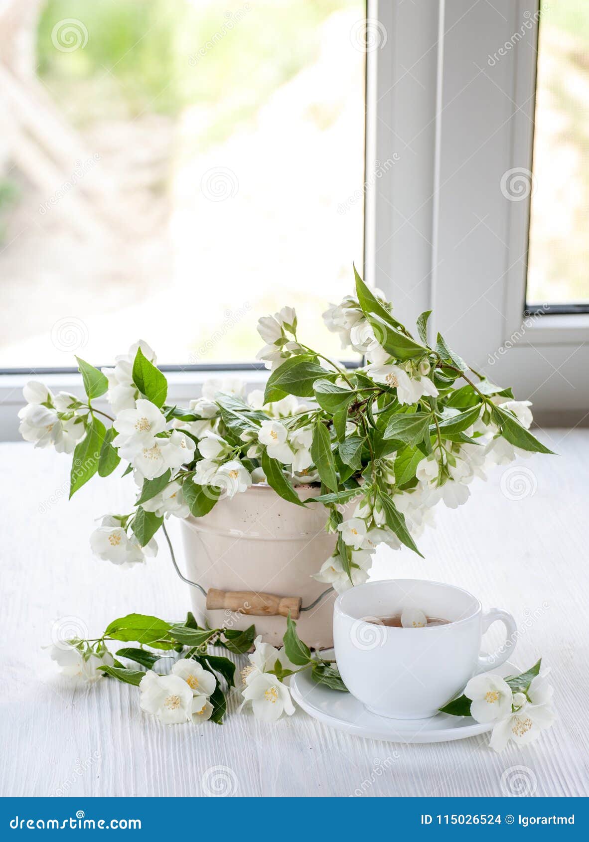 Jasmine Fragrance Flower Stock Photo | CartoonDealer.com #115703952