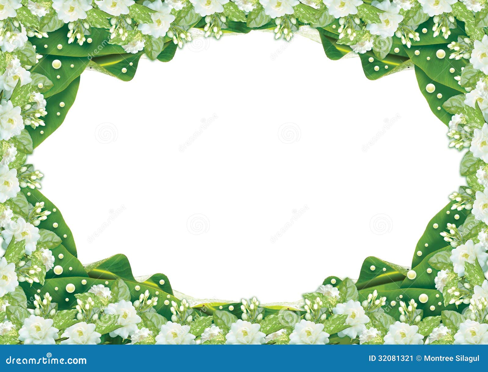Jasmine Frame Isolated on White Background Stock Image - Image of ...